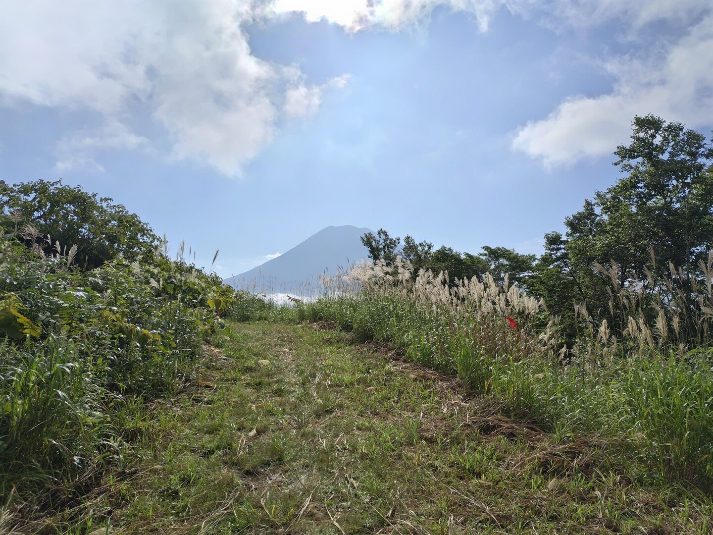 NACニセコトレイル2023/30km @ニセコアンヌプリ・ニセコアンヌプリ（南峰） / おまっとさんのニセコアンヌプリ・イワオヌプリ・チセヌプリの活動データ | YAMAP / ヤマップ