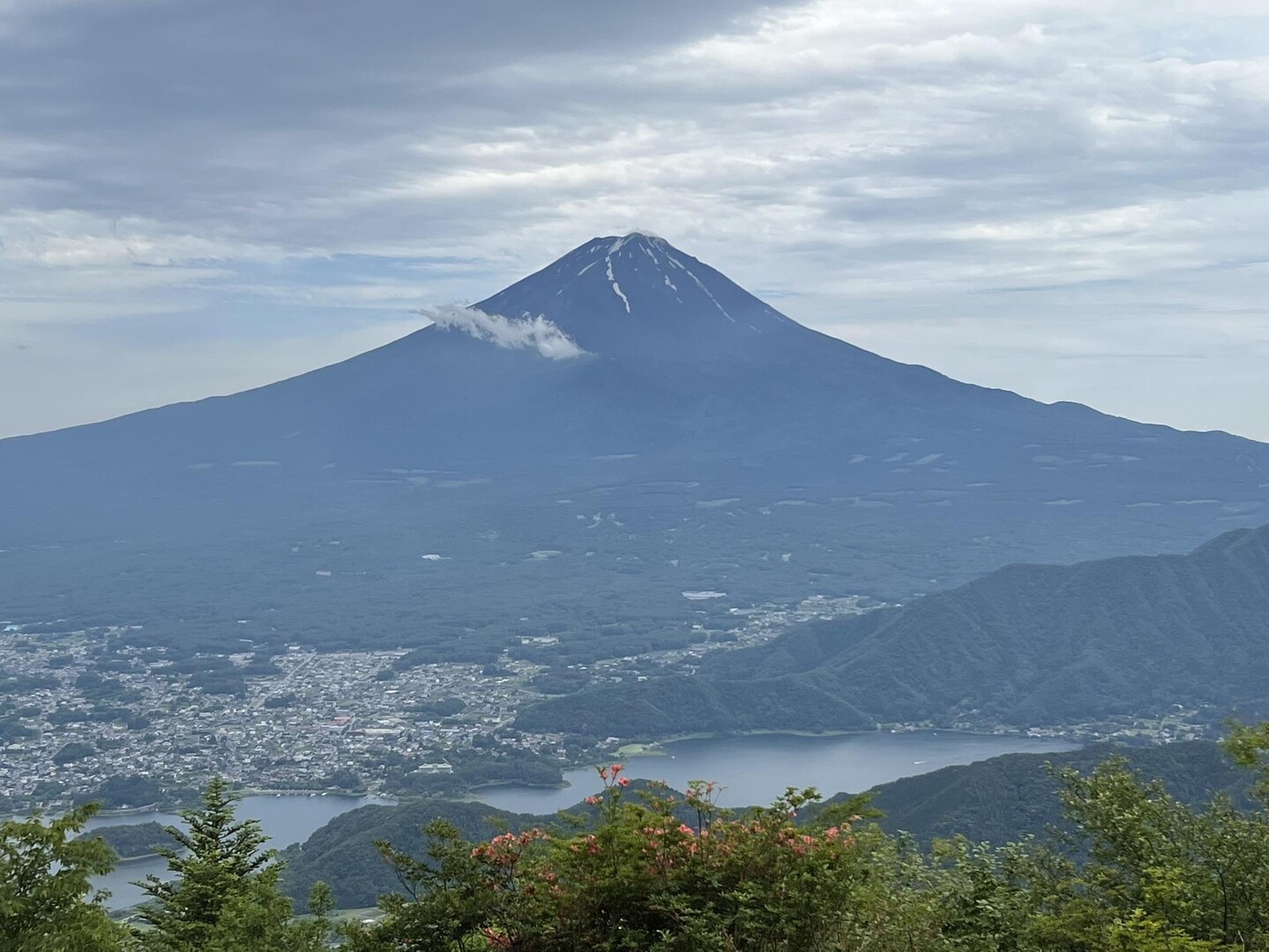 御坂黒岳 / Leeさんの節刀ヶ岳・破風山・足和田山の活動データ | YAMAP / ヤマップ