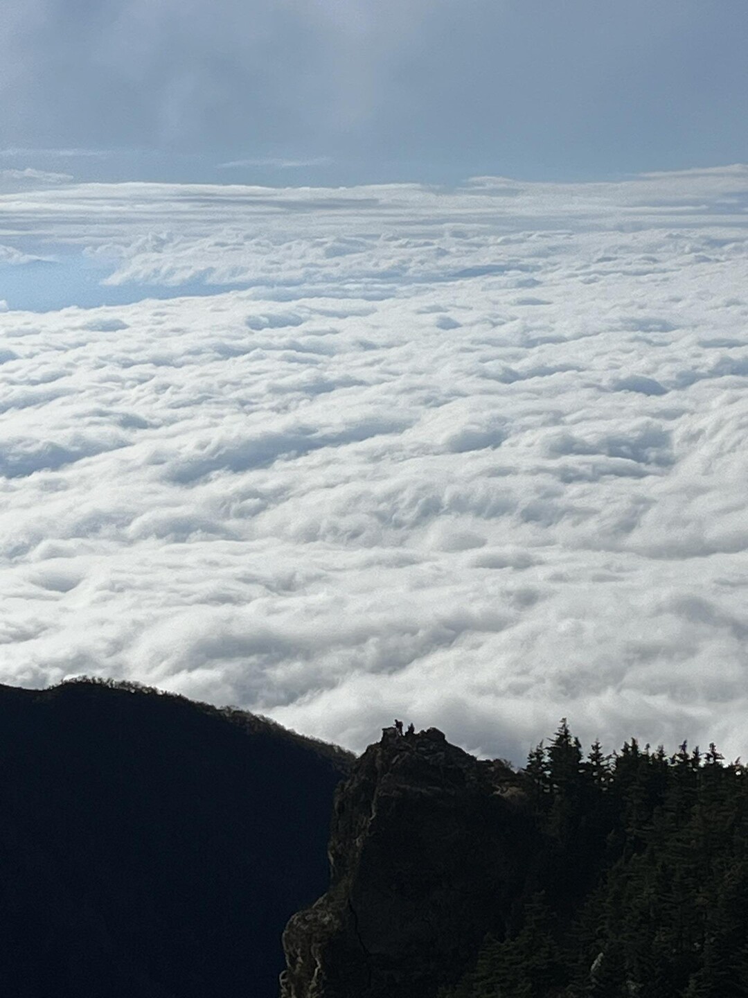 黄金色のカラマツ見たくて浅間へ / rinさんの浅間山・黒斑山・篭ノ登山の活動日記 | YAMAP / ヤマップ