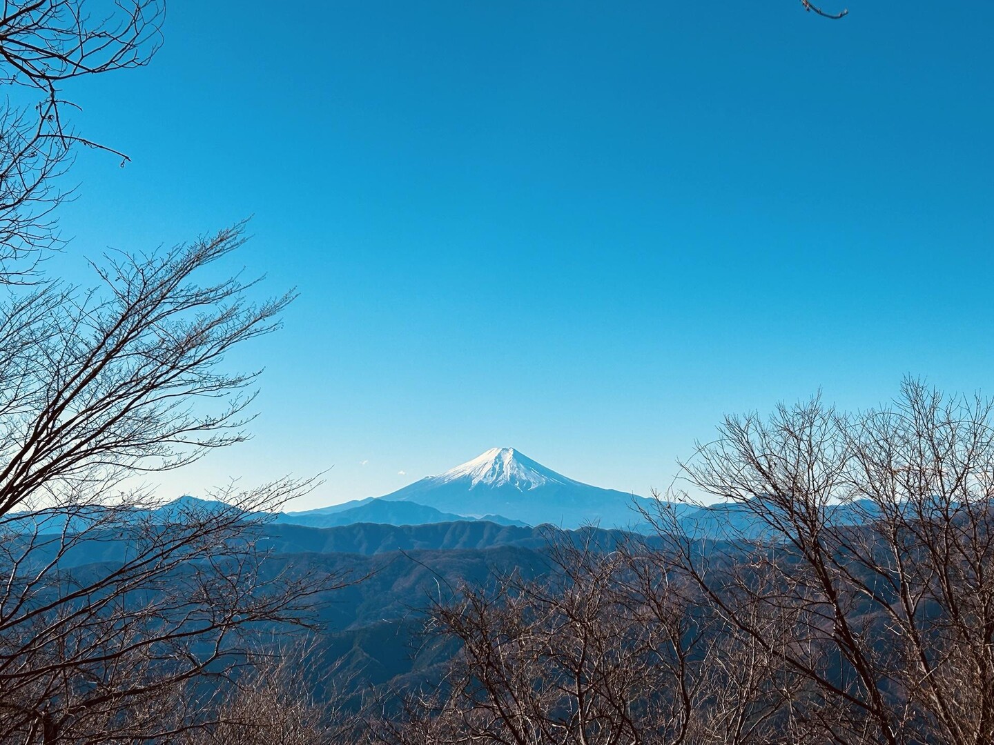 愛宕山・鋸山・鞘口山・クロノ尾山・御前山 / NORIHIROさんの大岳山・御岳山・御前山の活動データ | YAMAP / ヤマップ