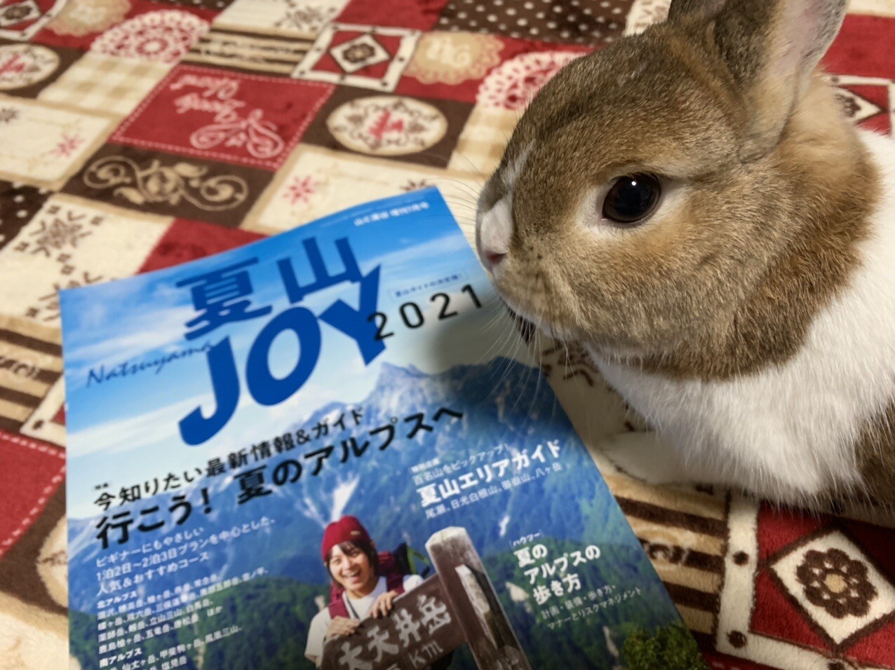 夏山JOY！JOY⛰☀️ / あやさんのモーメント | YAMAP / ヤマップ