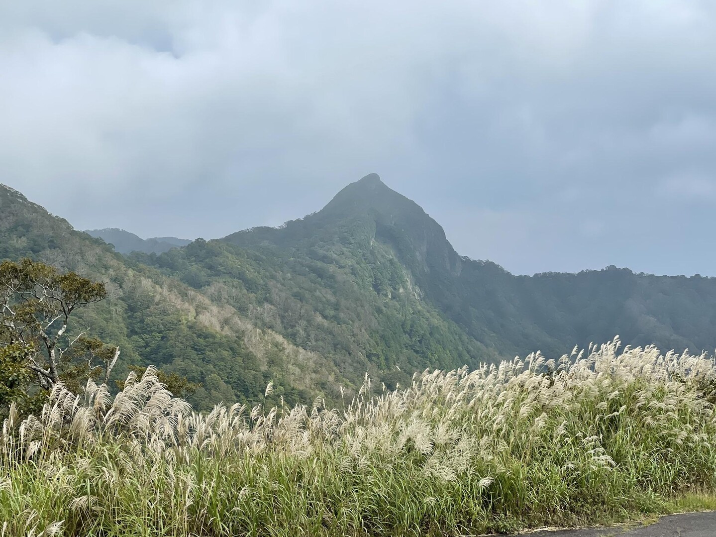 冠山 / hirosyさんの冠山・金草岳の活動データ | YAMAP / ヤマップ