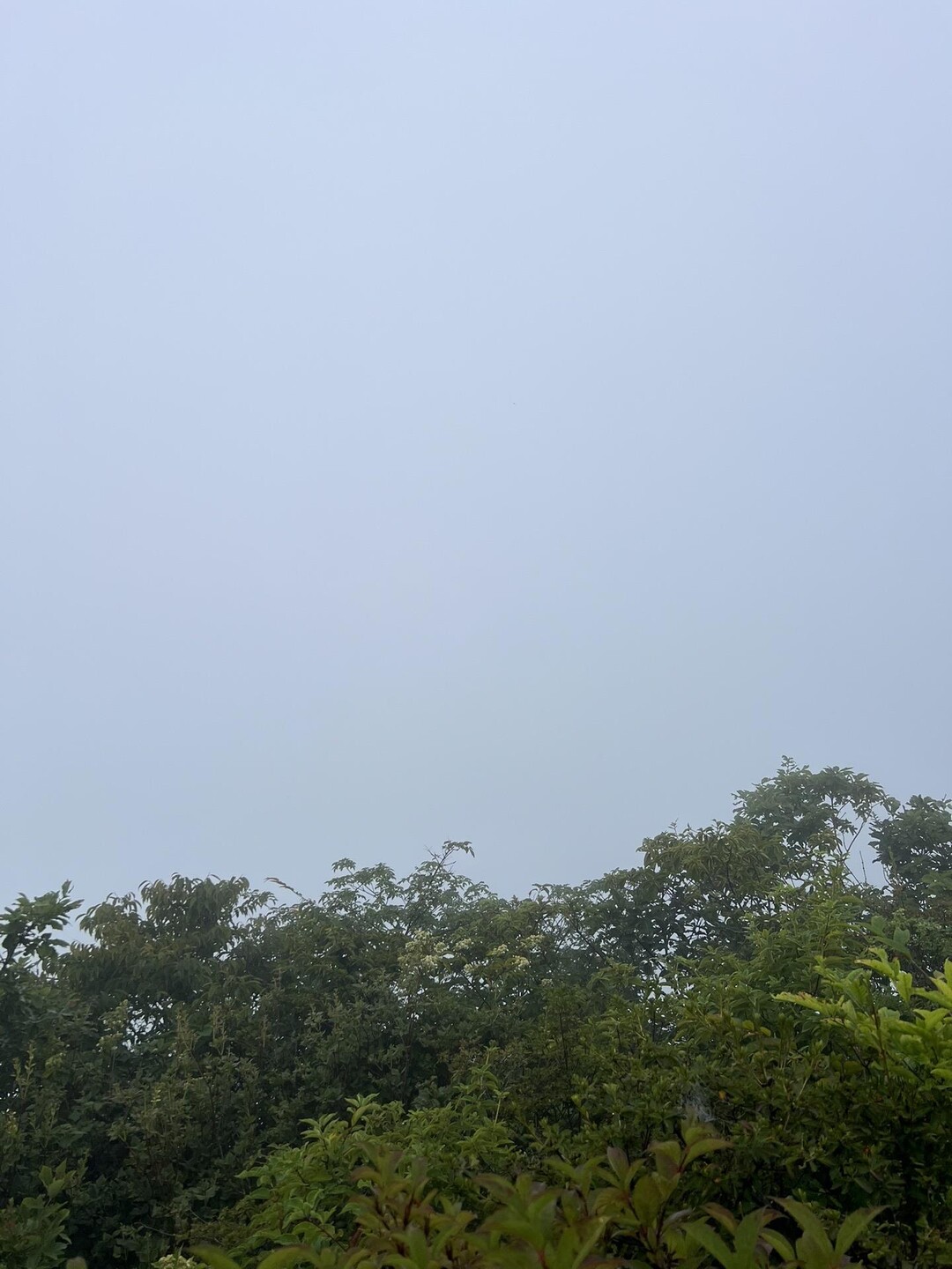 浅間山(水沢山)【R6.44】 / なり460さんの榛名山・天狗山・天目山の活動データ | YAMAP / ヤマップ