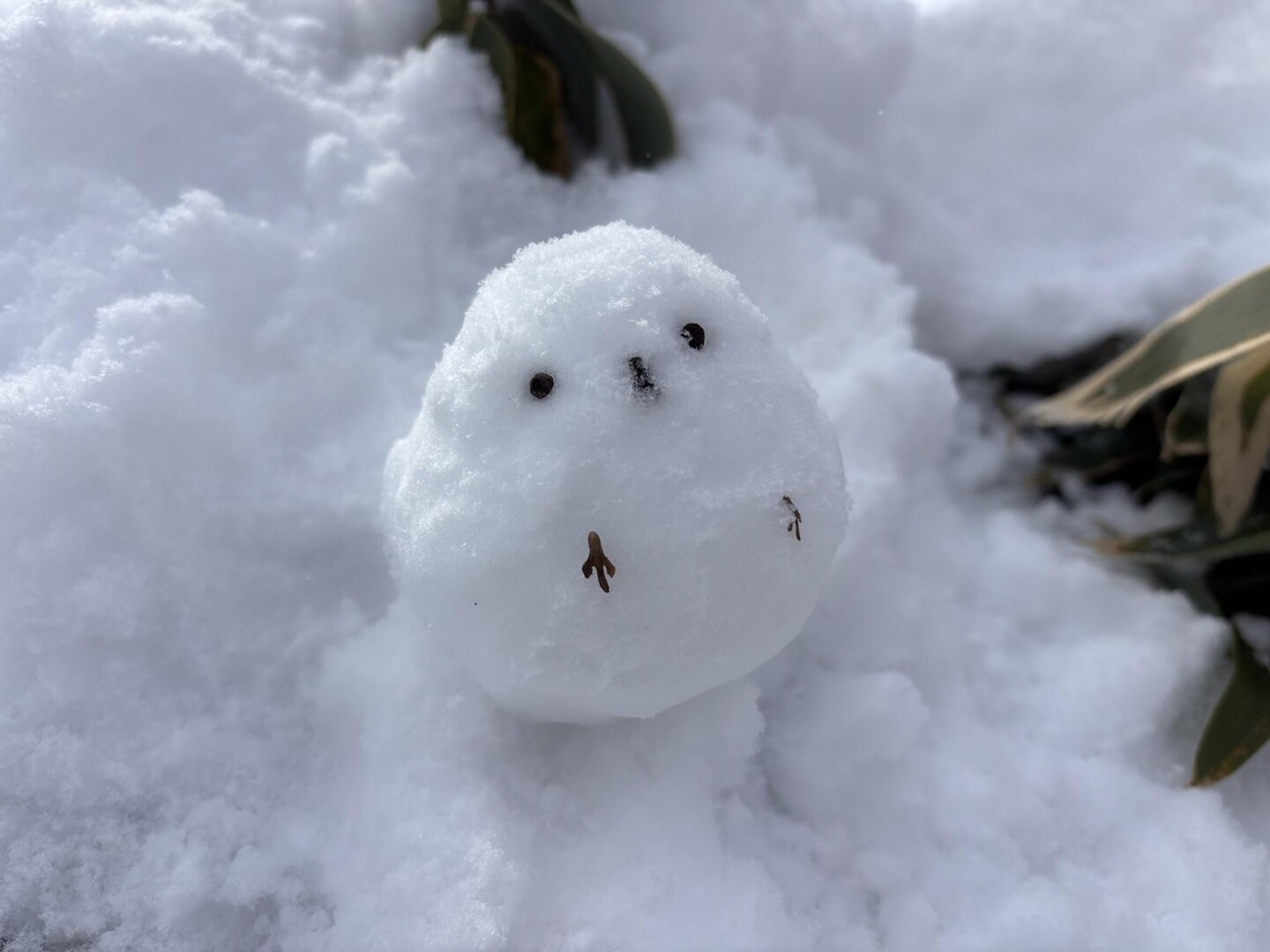 ヘビロテ🏔️イチャンコッペ山 / わっさんさんのイチャンコッペ山の活動データ | YAMAP / ヤマップ