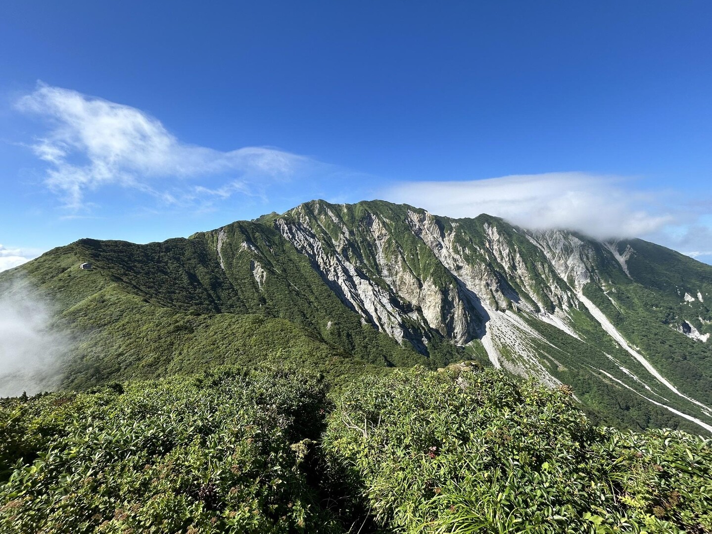 三鈷峰・象ヶ鼻・寂静山 / Jinさんの大山・甲ヶ山・野田ヶ山の活動データ | YAMAP / ヤマップ