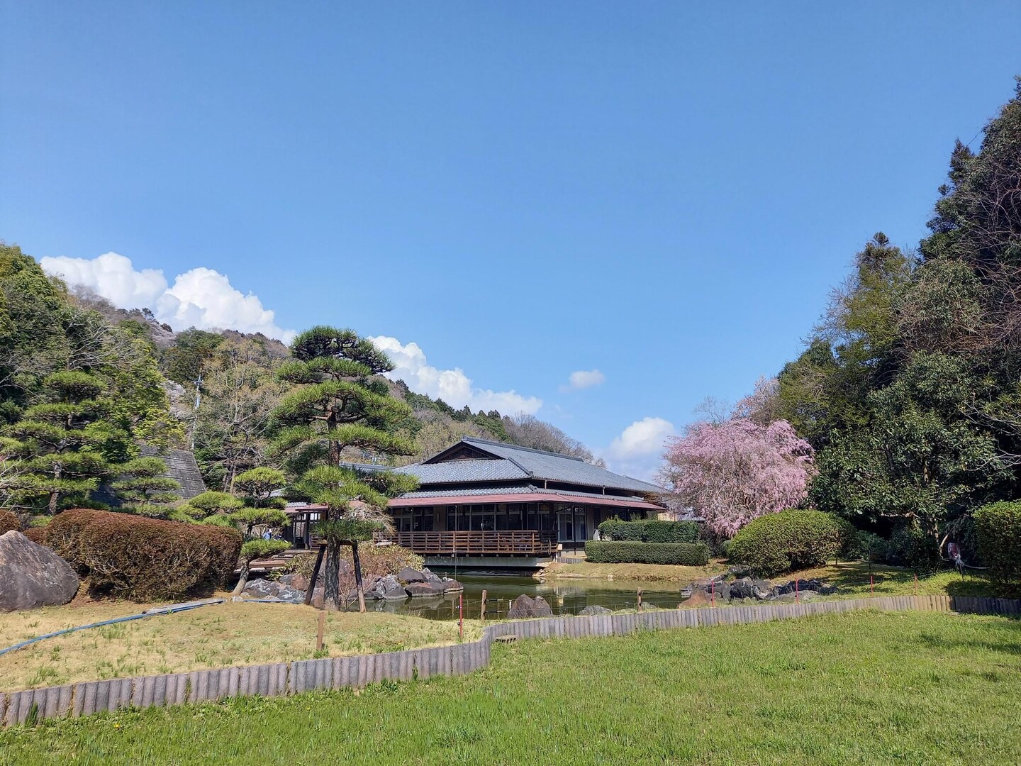 お花見パート3🌸 / misaさんのモーメント | YAMAP / ヤマップ