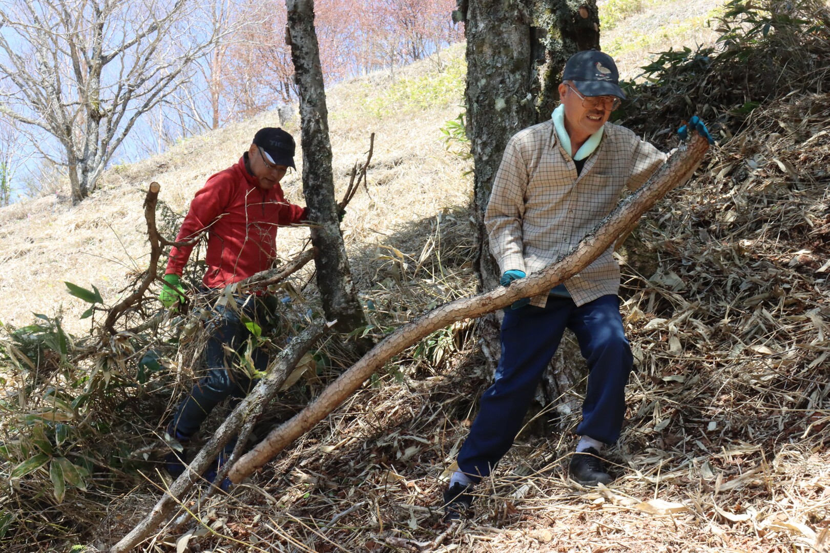 GW後半の5月4日、北沢山防鹿柵設置予定... / 経ヶ岳友の会さんのモーメント | YAMAP / ヤマップ