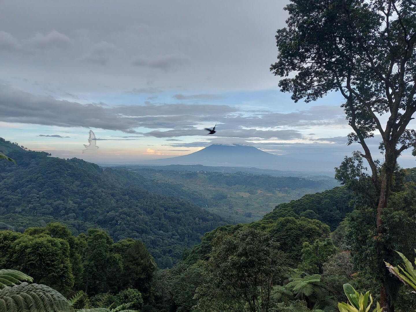 パニサン経由 西2→西1 Oneway / OMUさんのクタ山の活動データ | YAMAP / ヤマップ