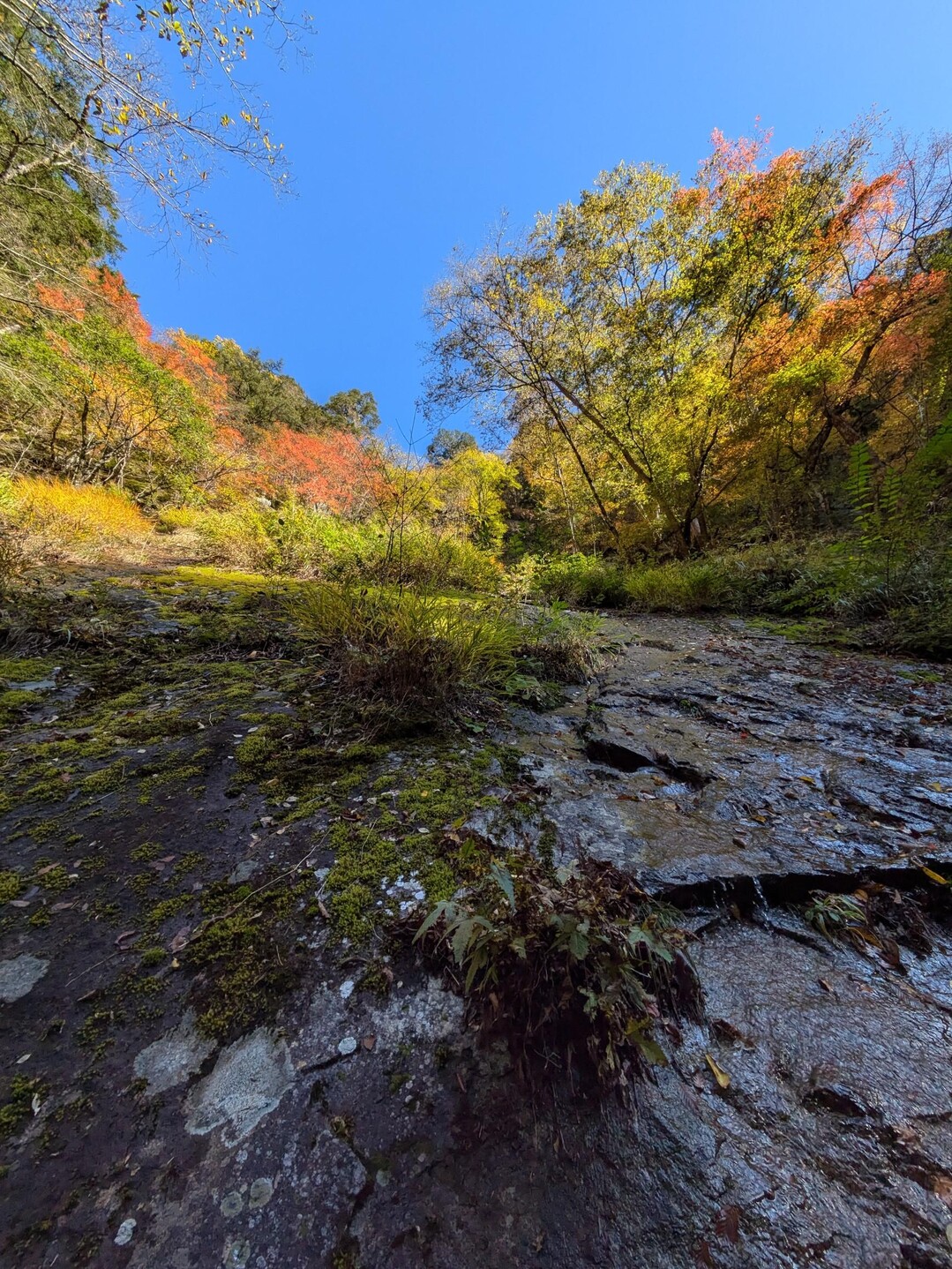 西沢渓谷〜秋の癒し〜 / asa-remiさんの甲武信ヶ岳の活動データ | YAMAP / ヤマップ