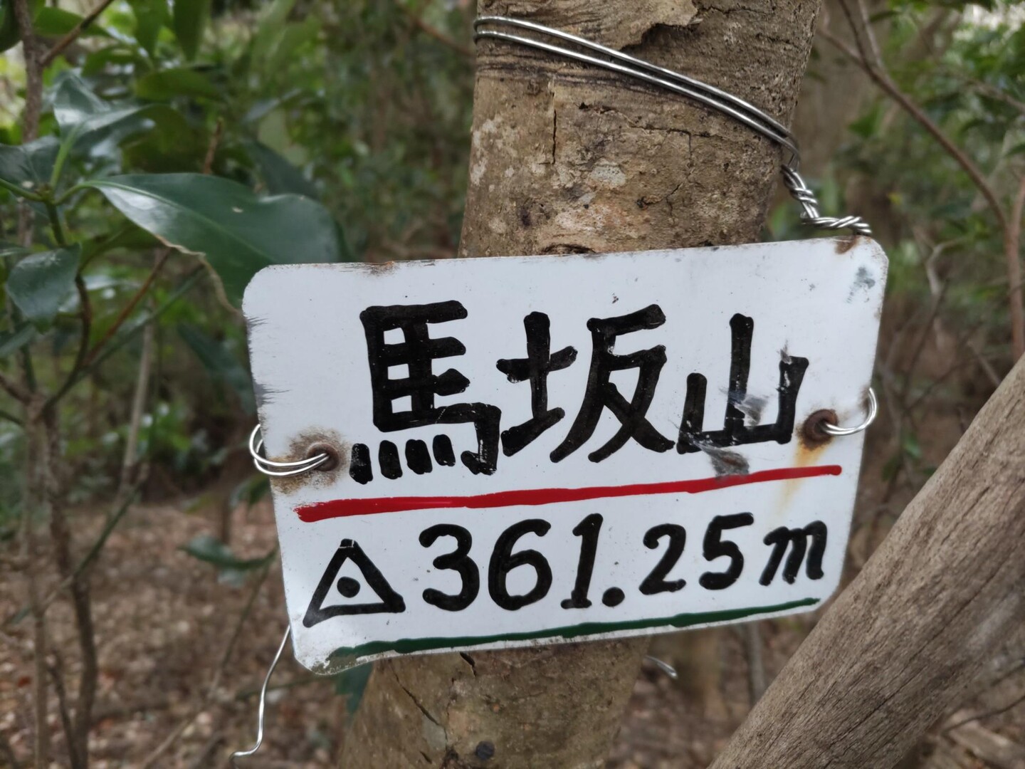 馬坂山【361.3m】周回ｺｰｽ / さとちゃんさんの南伊勢町の活動データ | YAMAP / ヤマップ