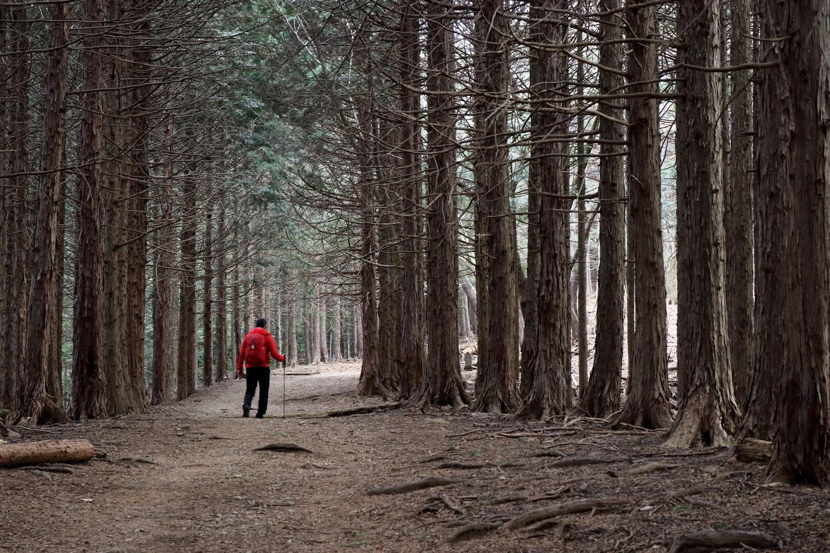 日向山・丸山 / bysunさんの丸山・日向山の活動データ | YAMAP / ヤマップ
