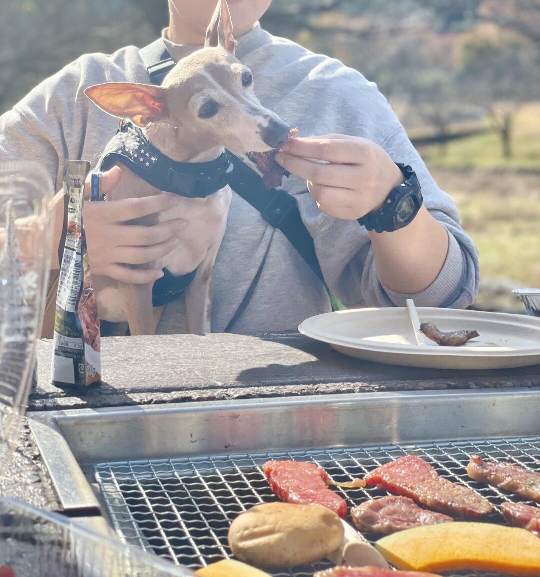 大好きなだんだん公園でBBQデビュー。 ... / ノボリタさんのモーメント | YAMAP / ヤマップ