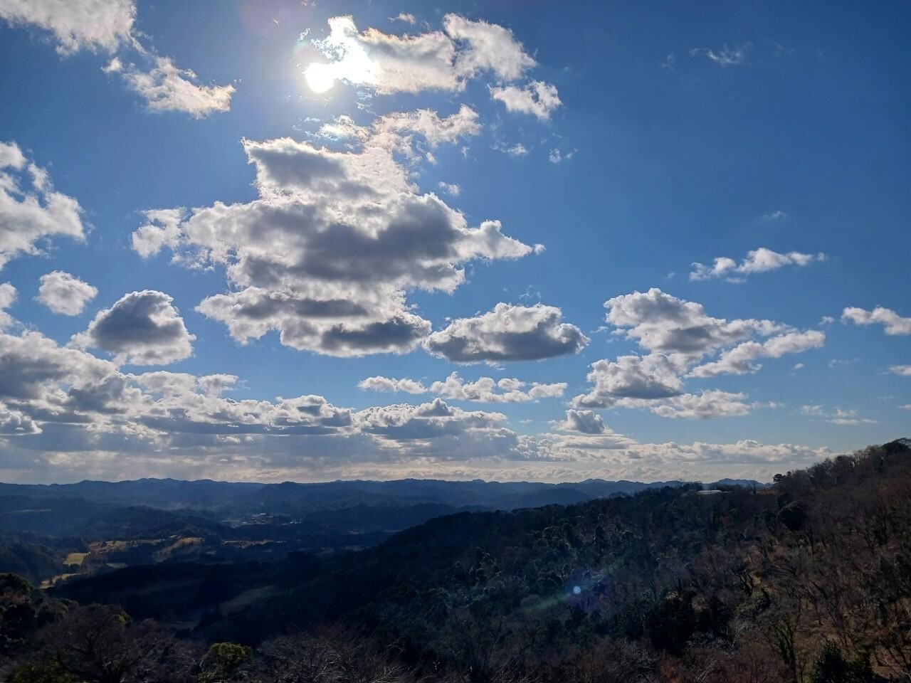 クリスマストレイルラン～one for two～ / みこぴっこさんの鹿野山の活動データ | YAMAP / ヤマップ