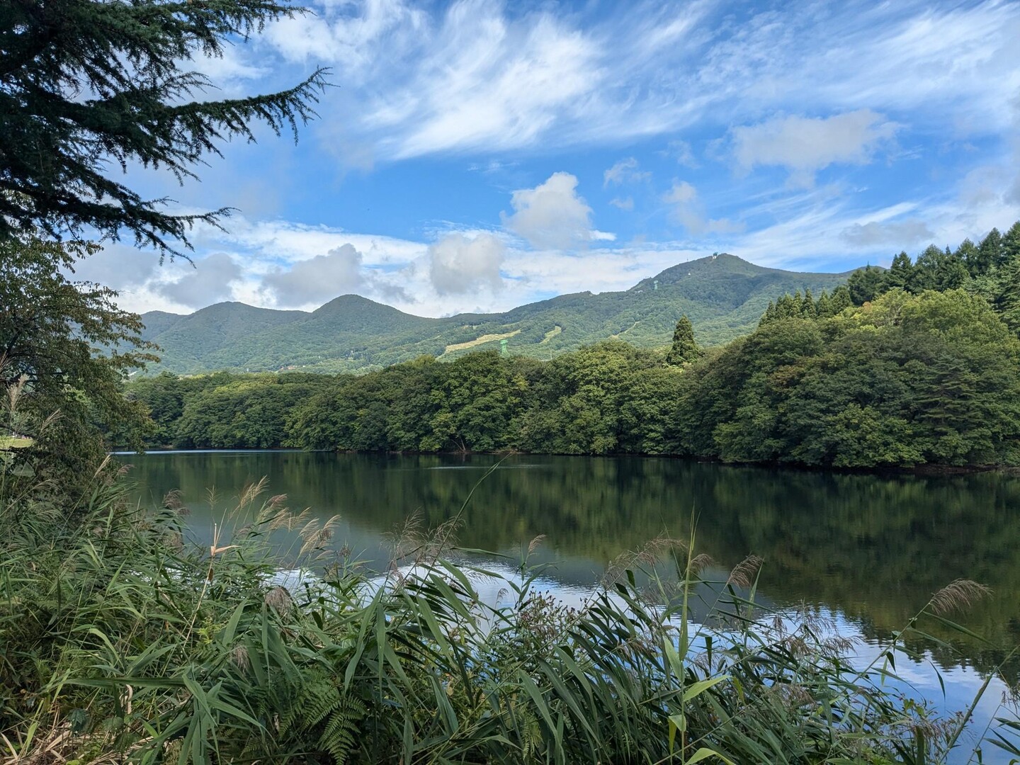鴫の谷地沼 一周[山形ビエンナーレ] / tkhsさんの蔵王山・雁戸山・不忘山の活動データ | YAMAP / ヤマップ
