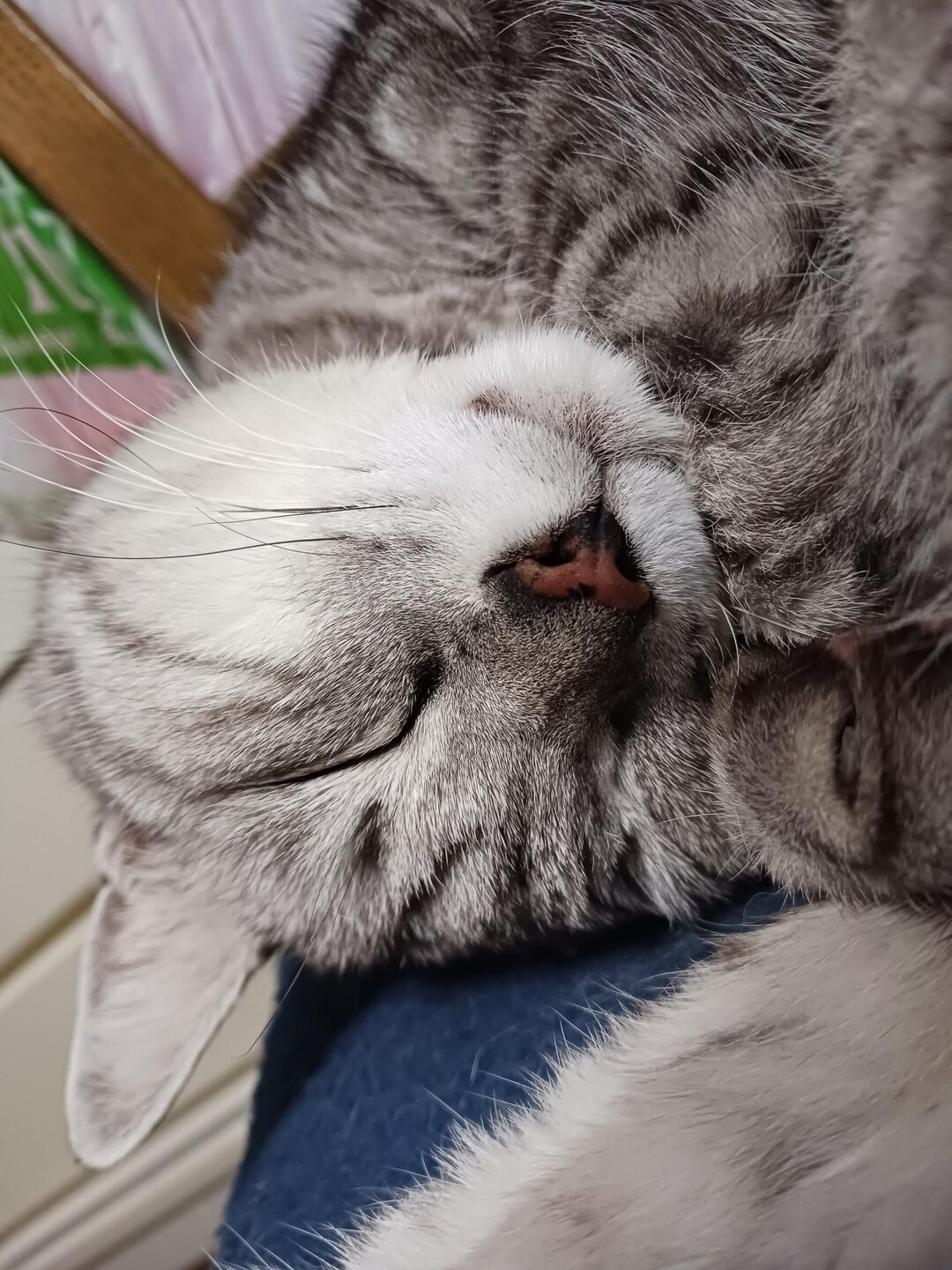 思うところがあっての独り言なので、DOM... / hiroさんのモーメント | YAMAP / ヤマップ