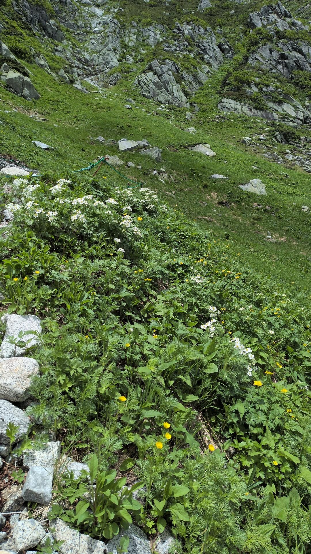 MH_650080さんの投稿したフィールドメモ | YAMAP / ヤマップ