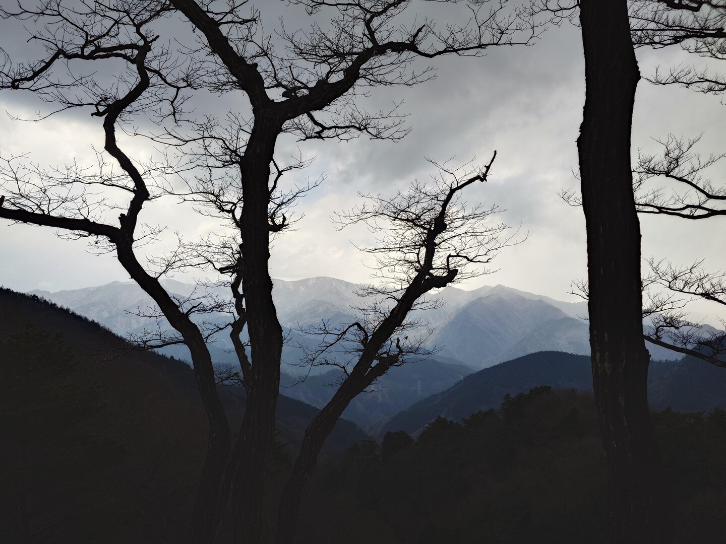 《丹沢》大山三峰山 / nazさんの大山の活動データ | YAMAP / ヤマップ