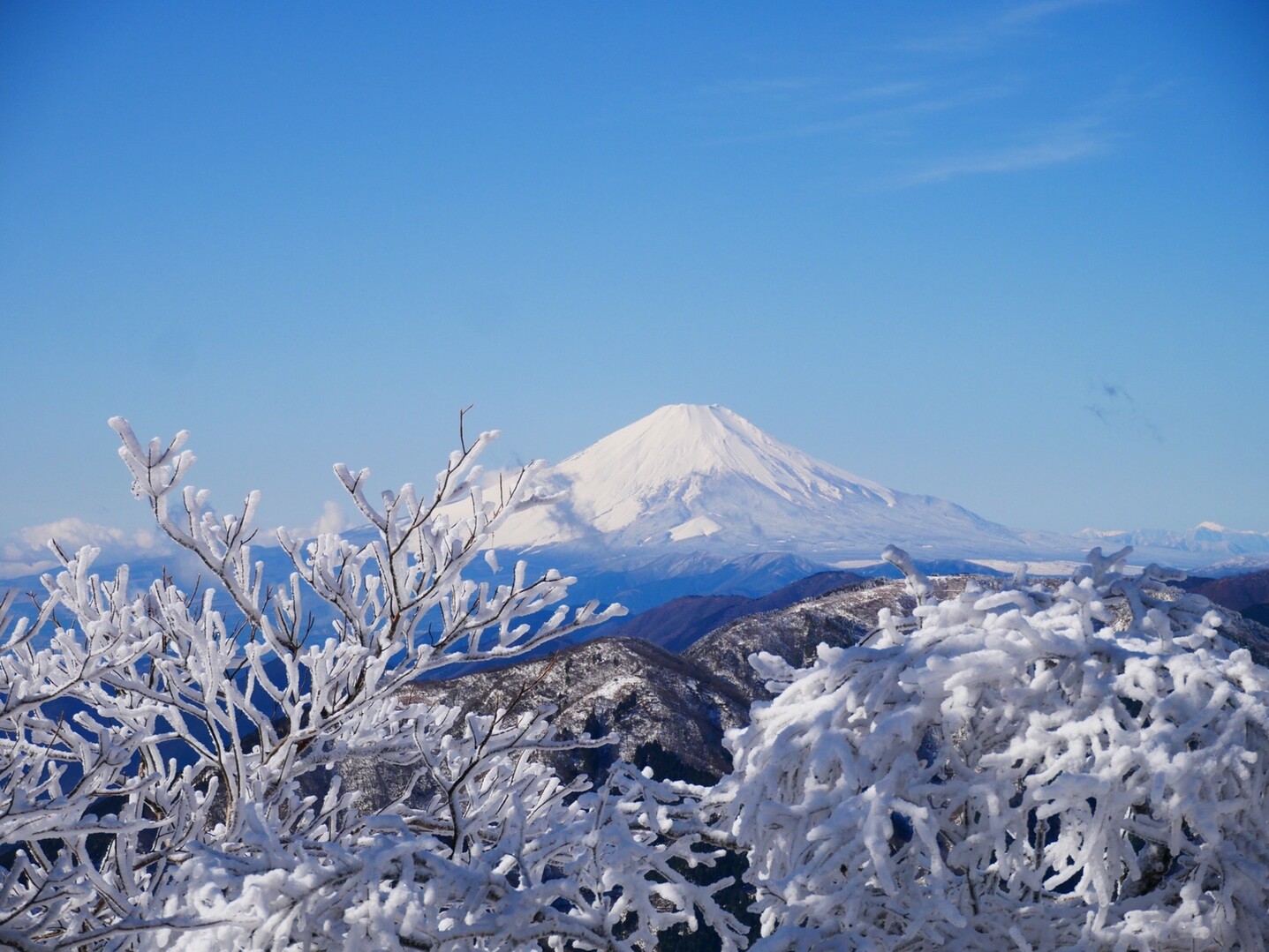 雪の大山(神奈川県伊勢原市)-2021.1.25 / やまびこGさんの大山の活動日記 | YAMAP / ヤマップ