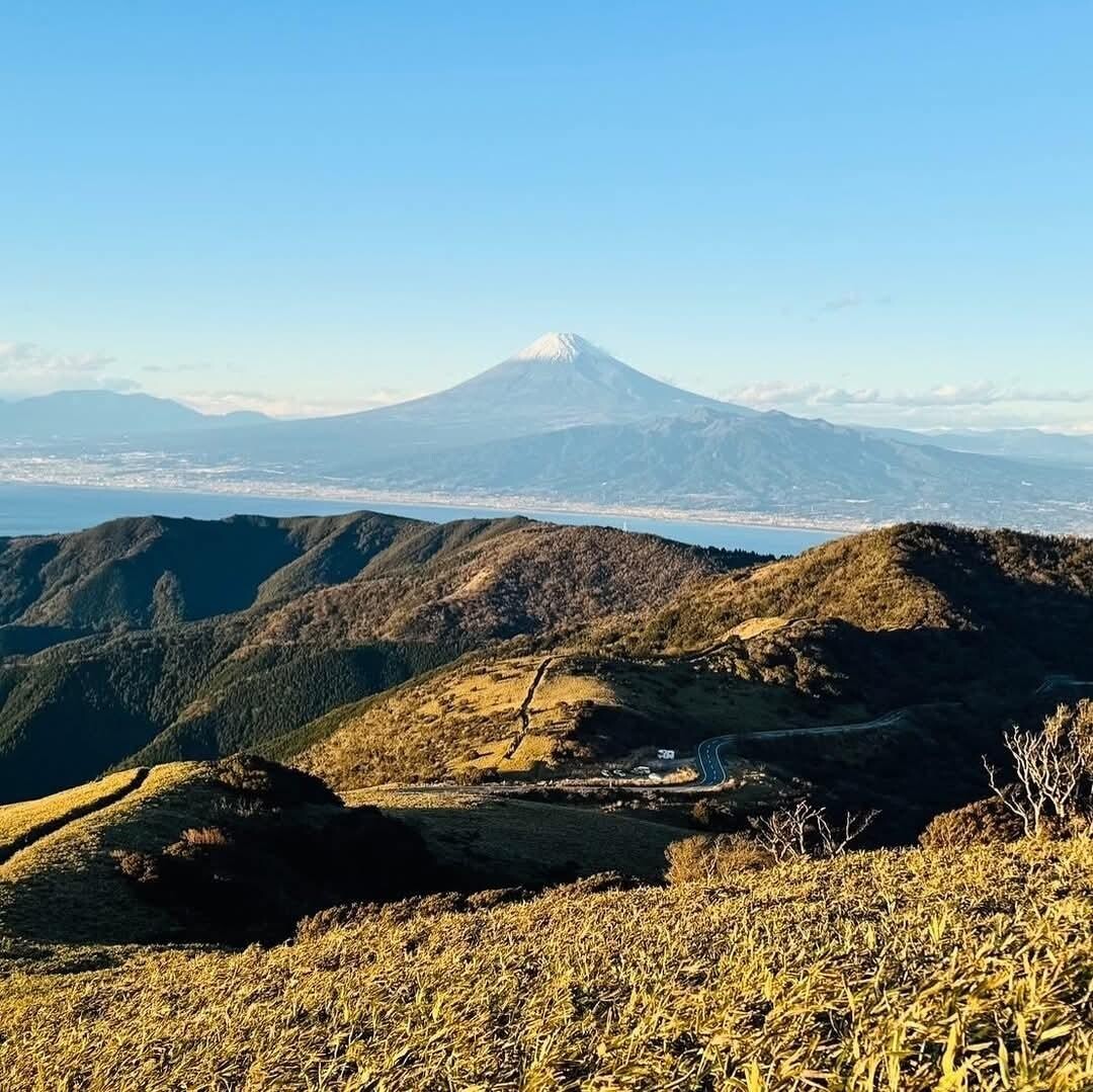 伊豆トレイルジャーニー 70K / Kazue Andoさんの金冠山・達磨山・葛城山の活動データ | YAMAP / ヤマップ