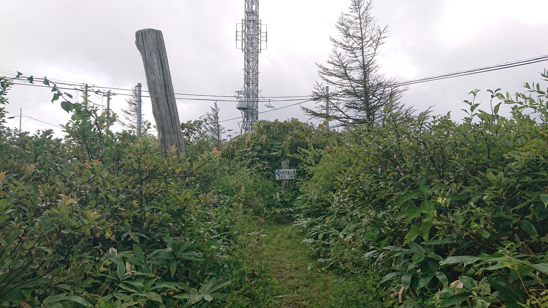 折爪岳 / K1さんの折爪岳の活動データ | YAMAP / ヤマップ