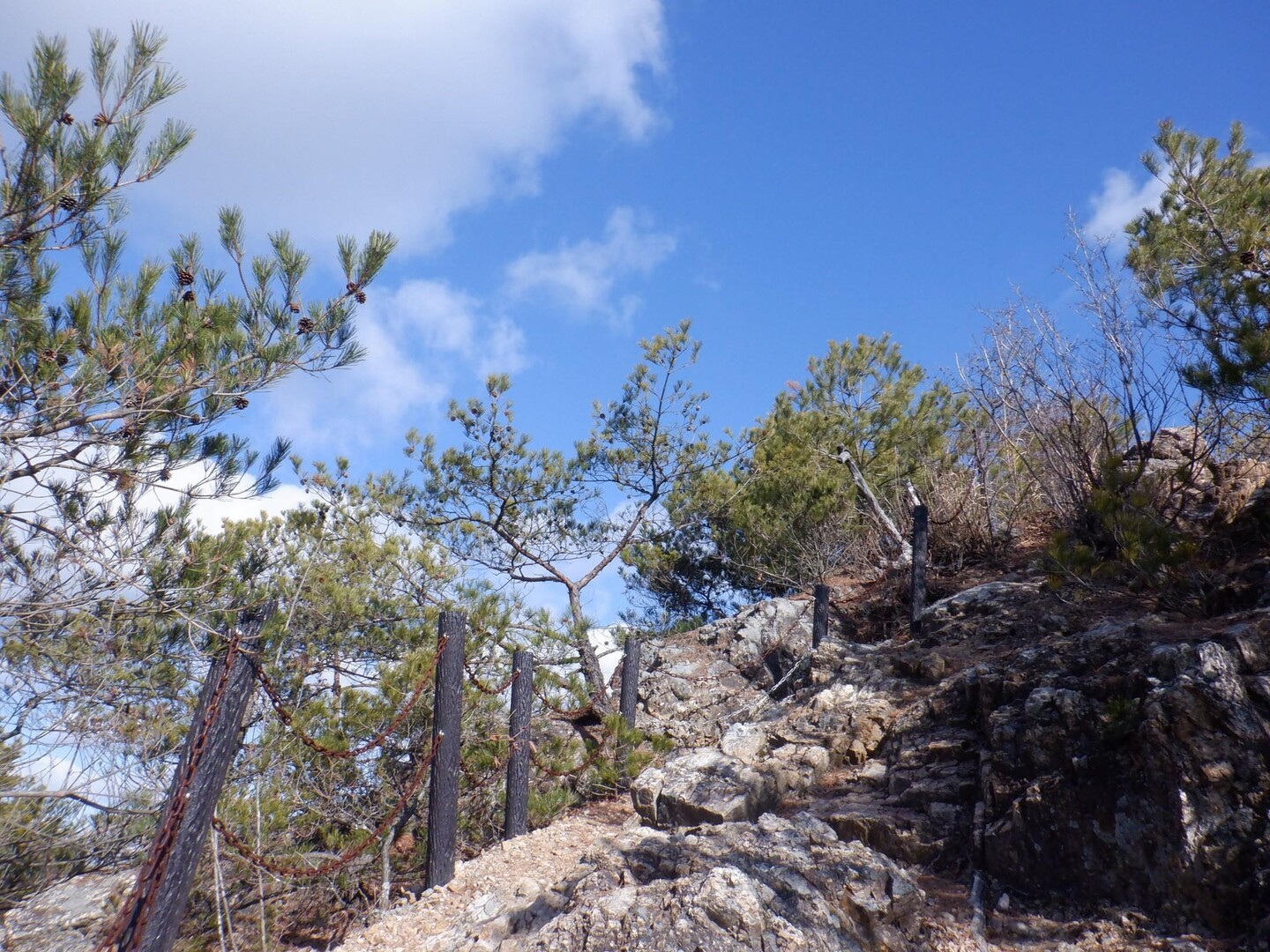標高777mの頂🎰 天神山 / こんさんの天神山の活動データ | YAMAP / ヤマップ