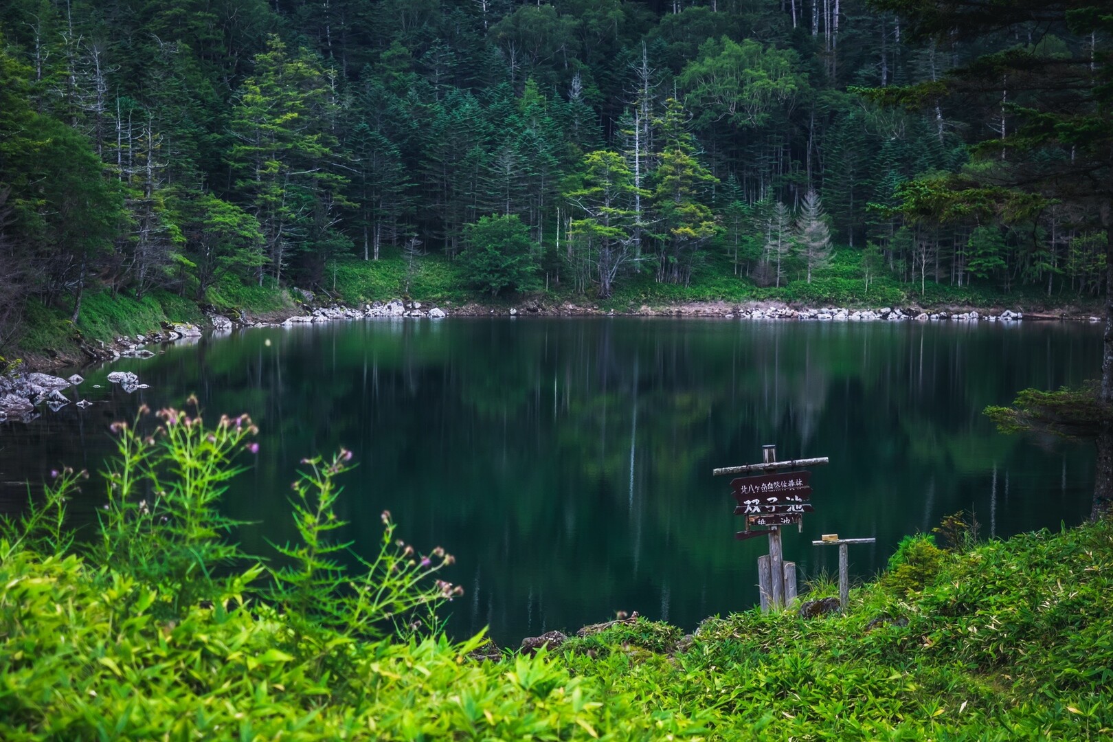 苔の森に癒される為に蓼科山・双子山の縦走です。 / mattuuさんの蓼科山・横岳・縞枯山の活動データ | YAMAP / ヤマップ