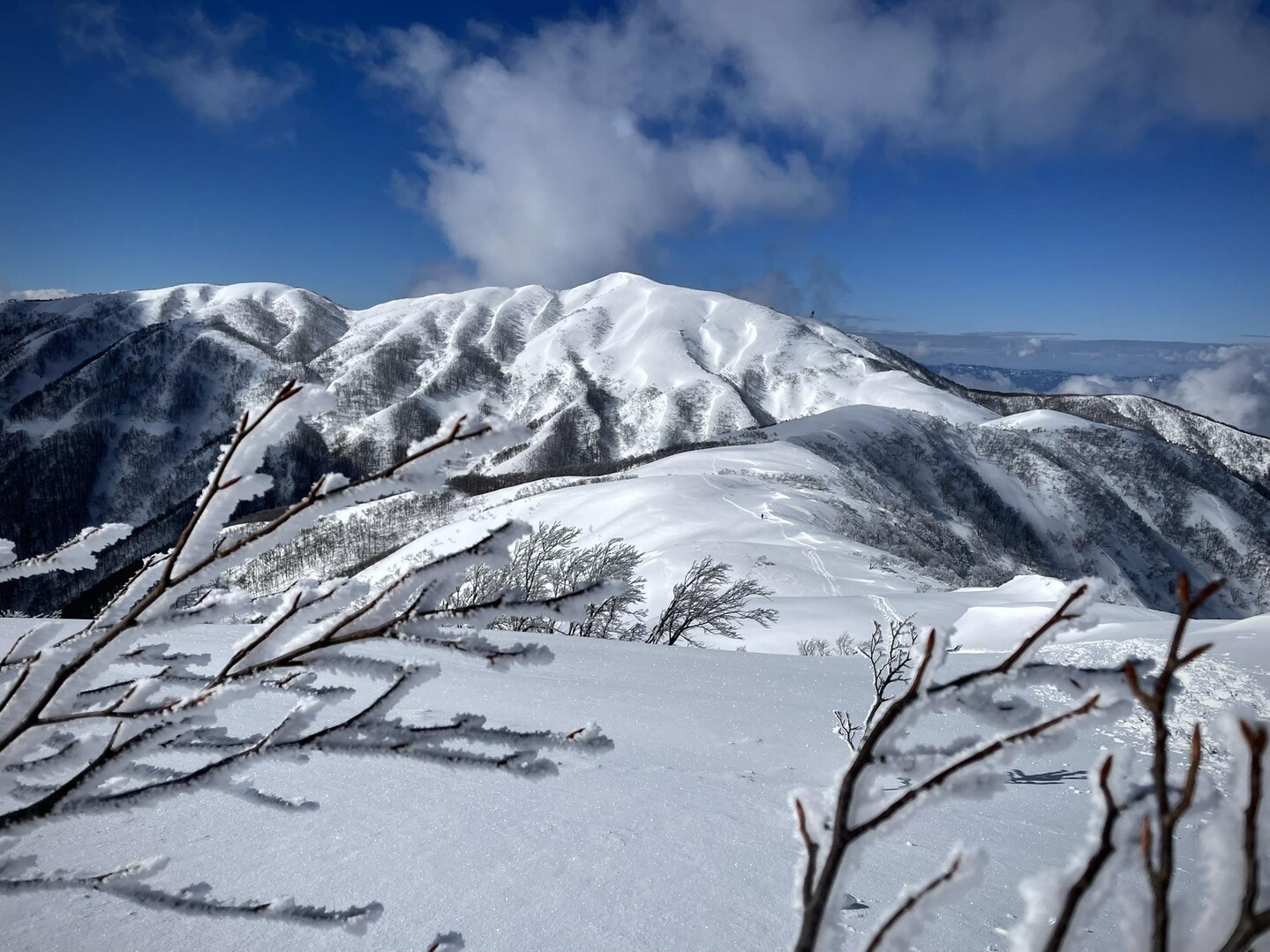 銀杏峯↻部子山⛄️🌞 / ai nknkさんの銀杏峰・部子山の活動データ | YAMAP / ヤマップ
