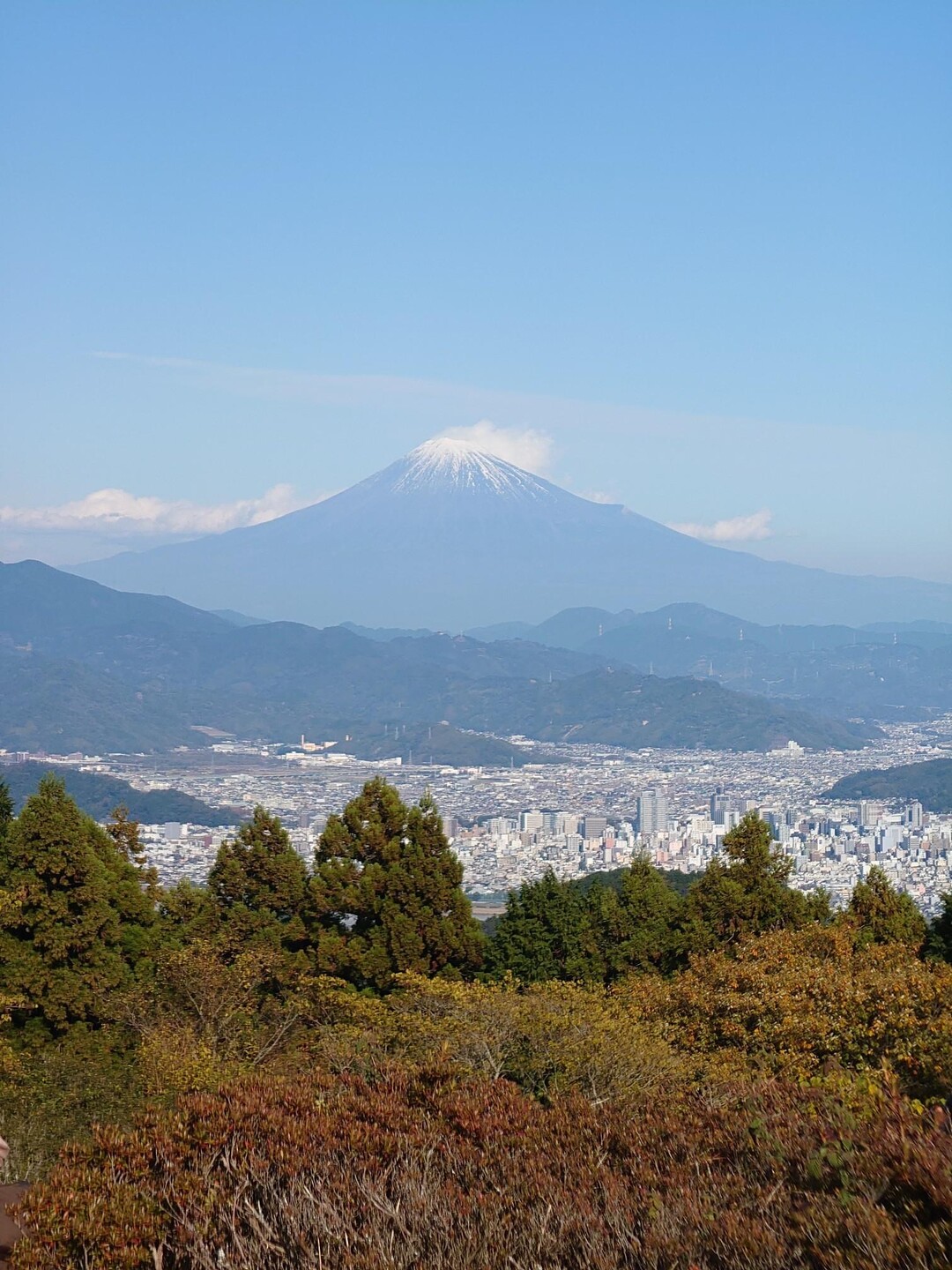 満観峰 / Takashiさんの焼津アルプス（高草山・満観峰・花沢山）・徳願寺山の活動データ | YAMAP / ヤマップ