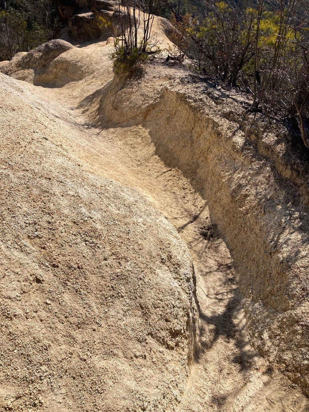 broncoさんの投稿したフィールドメモ | YAMAP / ヤマップ