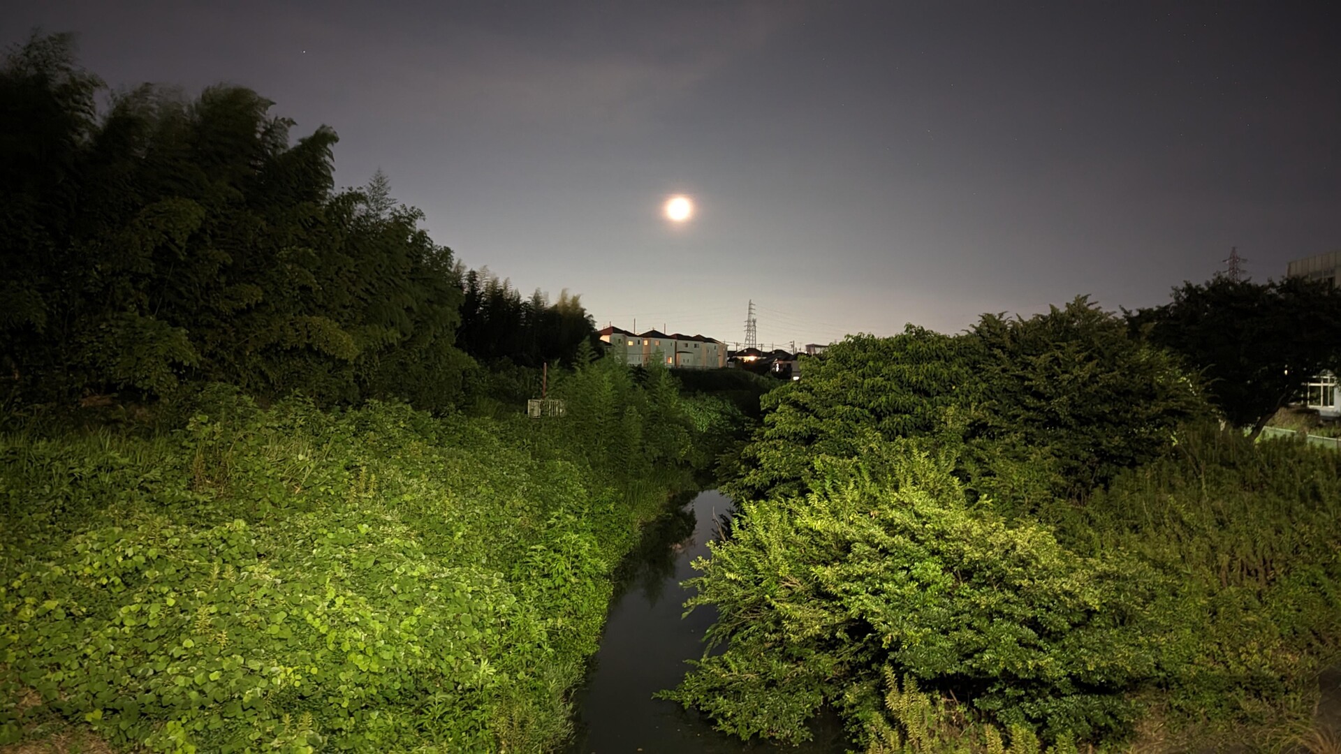 手賀沼ランニング-2023-10-15 / TK54さんのランニングの活動データ | YAMAP / ヤマップ