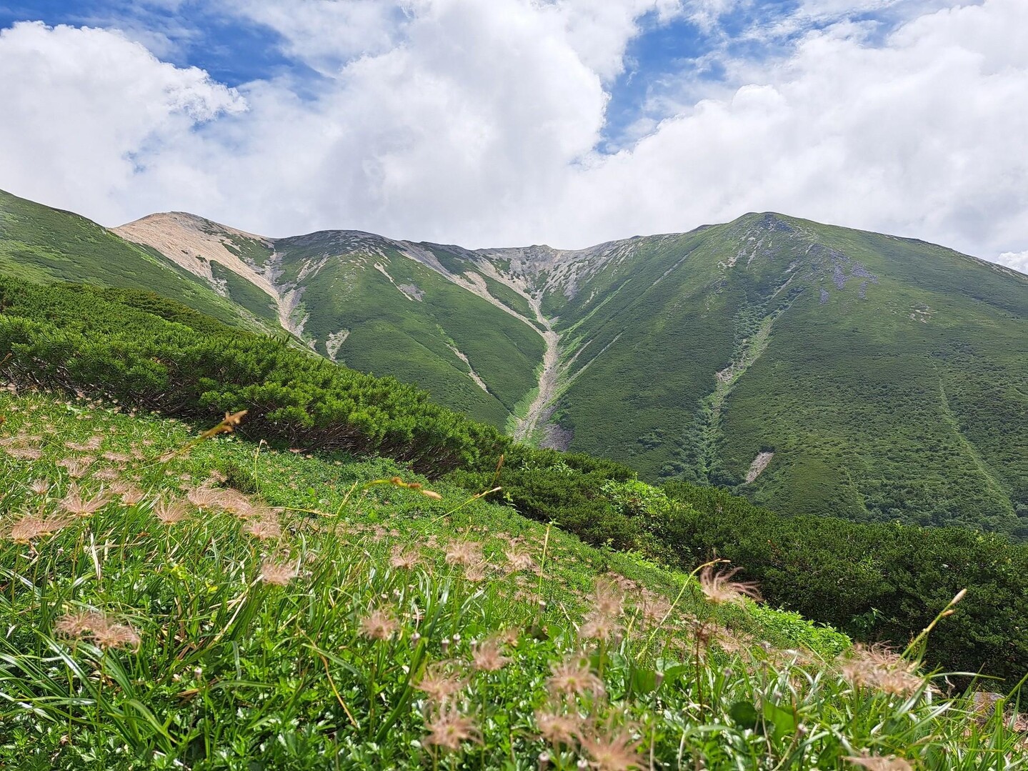初の日帰り薬師岳をアテンド / tottinさんの水晶岳・薬師岳・黒部五郎岳・鷲羽岳・三俣蓮華岳・湯俣の活動日記 | YAMAP / ヤマップ