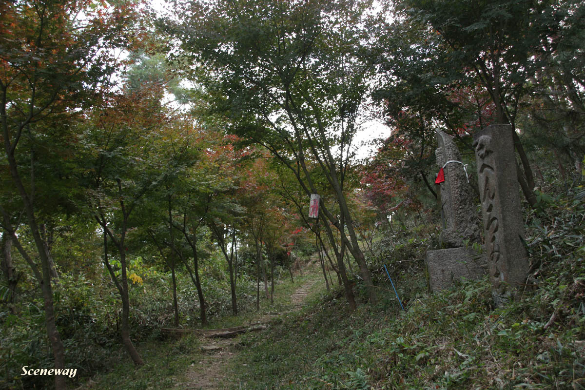 矢田丘陵 矢田山四国へんろ道 / Scenewayさんの矢田丘陵・法隆寺の活動データ | YAMAP / ヤマップ