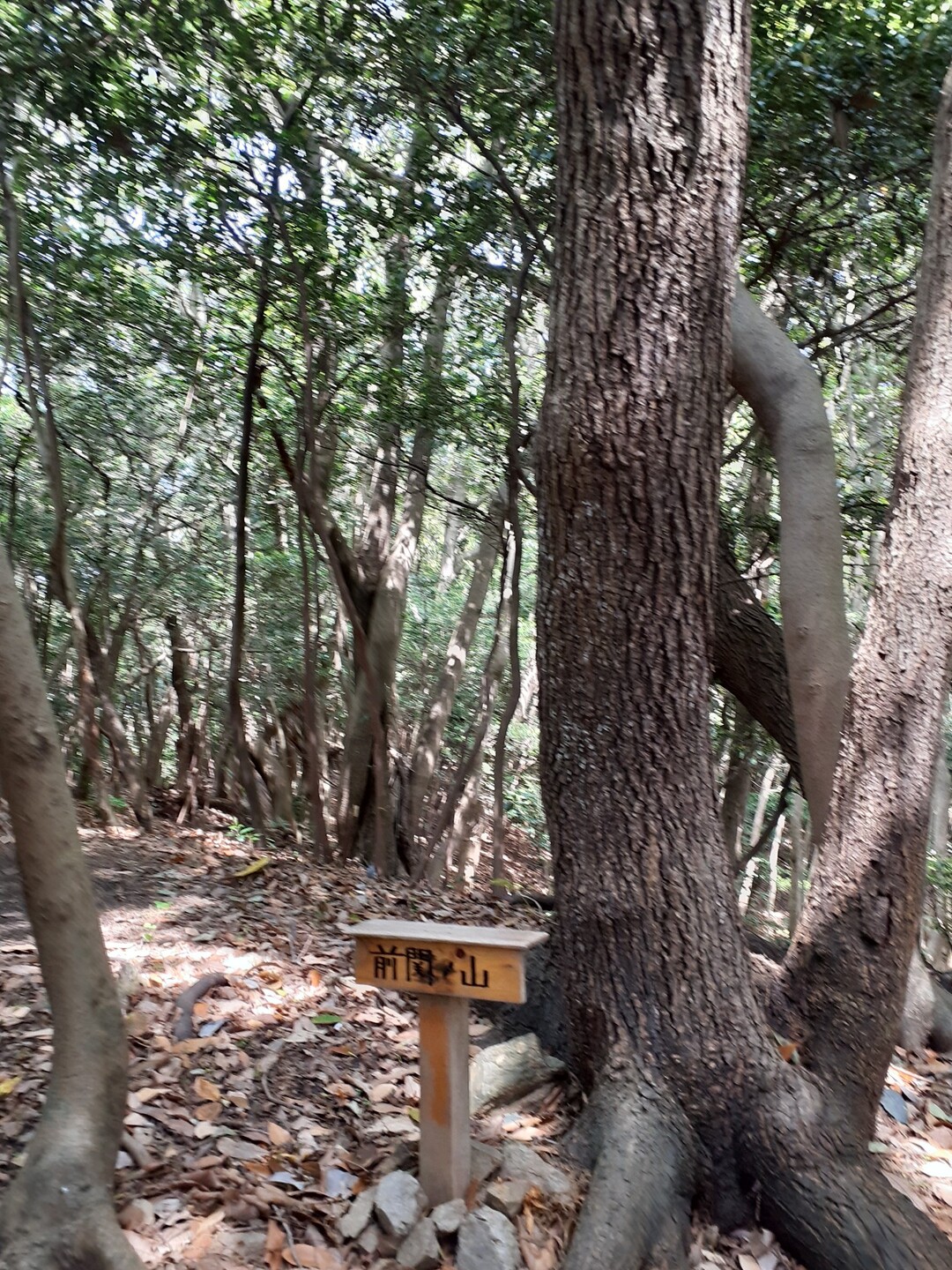 CASIOPEAさんの投稿したフィールドメモ | YAMAP / ヤマップ