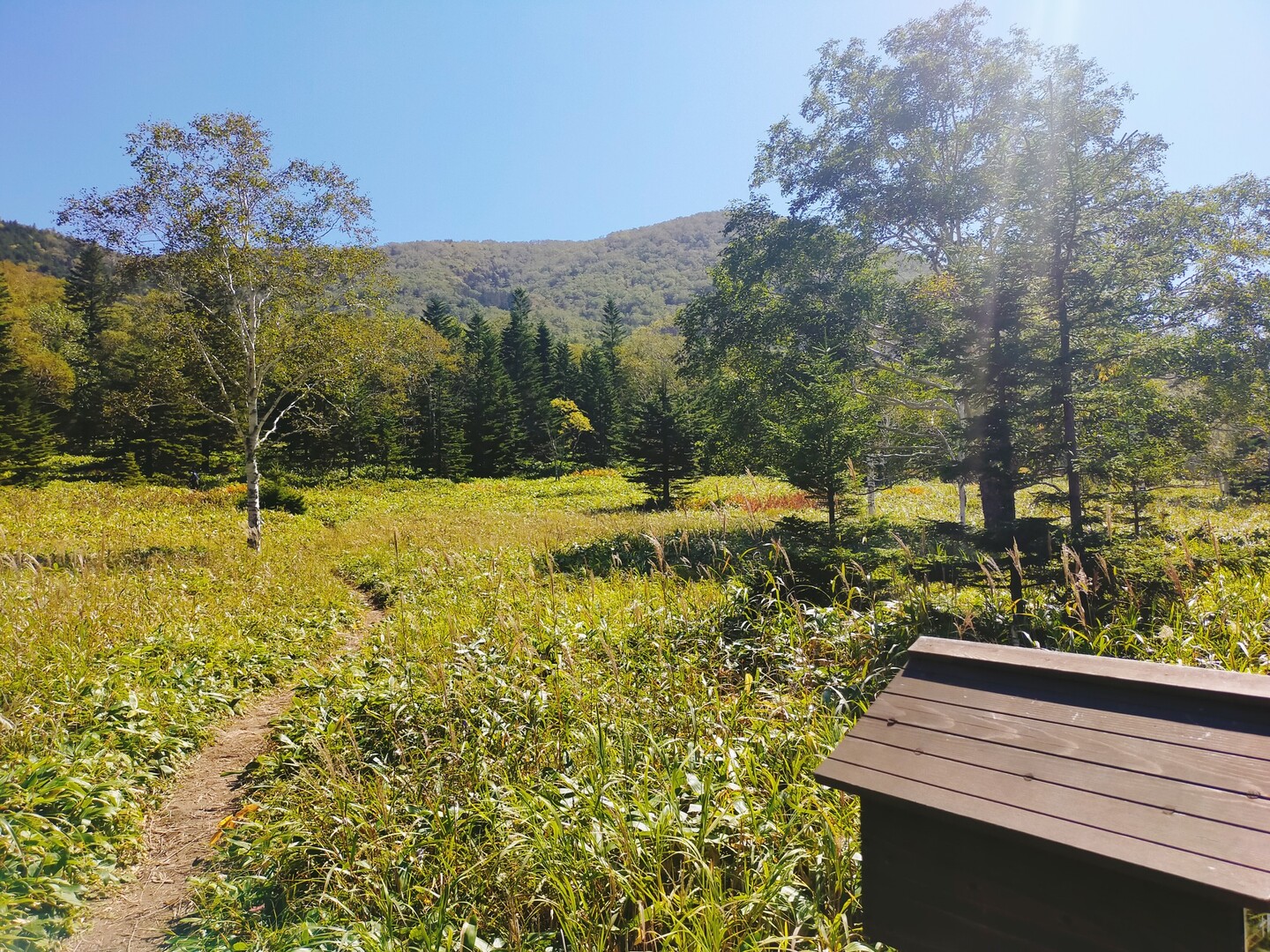 東ヌプカウシヌプリ / digdigさんの東ヌプカウシヌプリ・西ヌプカウシヌプリの活動データ | YAMAP / ヤマップ