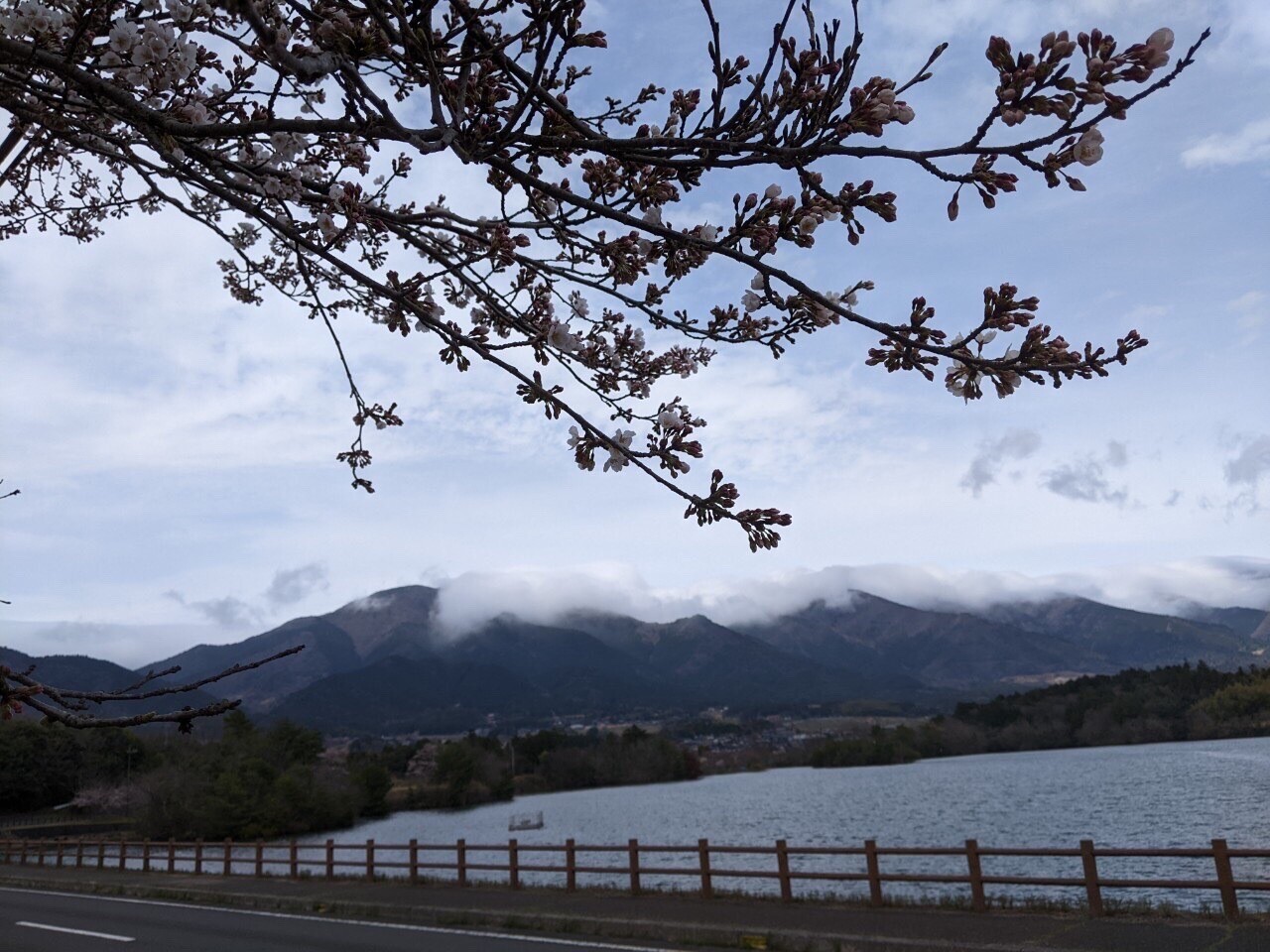 奈義現代美術館のついでに💓那岐山と桜 ... / Sayakaさんのモーメント | YAMAP / ヤマップ