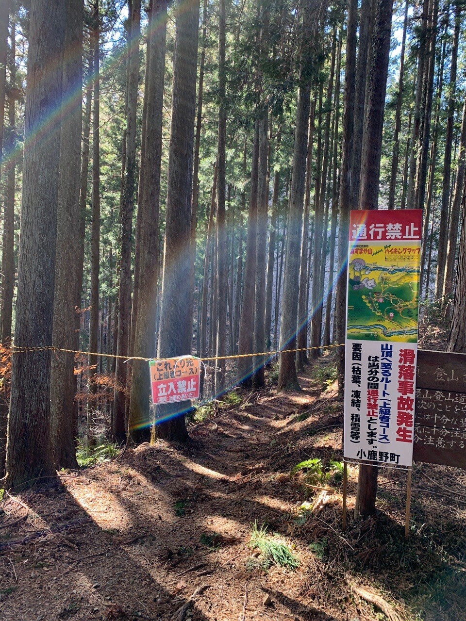 hamさんの投稿したフィールドメモ | YAMAP / ヤマップ