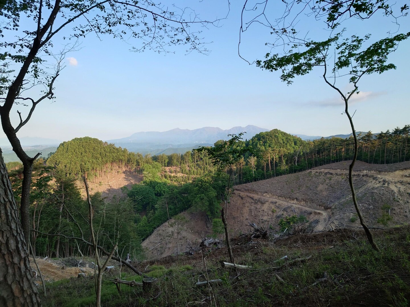 シューイチ イワキド1:30チャレンジ / ta2さんの鳴神山・吾妻山の活動データ | YAMAP / ヤマップ