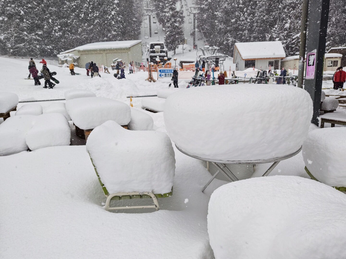 バフバフ🎵めがひらスキー場⛷️ / koroさんの恐羅漢山の活動データ | YAMAP / ヤマップ
