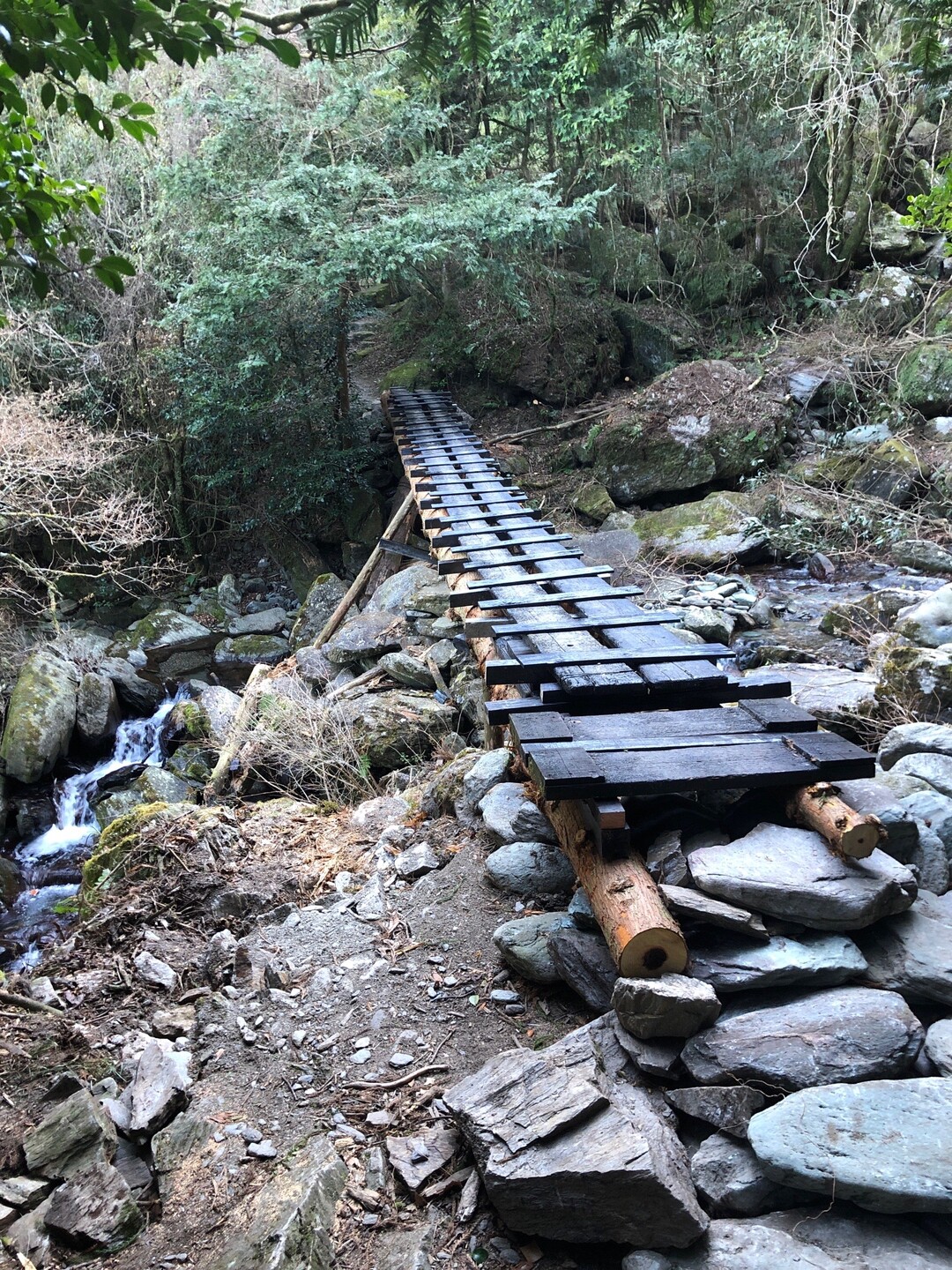 2022年 登り初めは赤星山から😃 / toshiさんのモーメント | YAMAP / ヤマップ