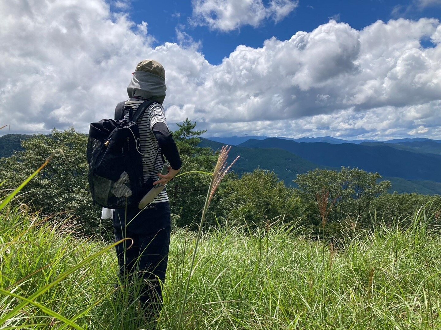 薊岳〜前山・明神平〜和沙羅滝へ周回です。 / motusan さんの桧塚奥峰・明神岳・薊岳の活動データ | YAMAP / ヤマップ