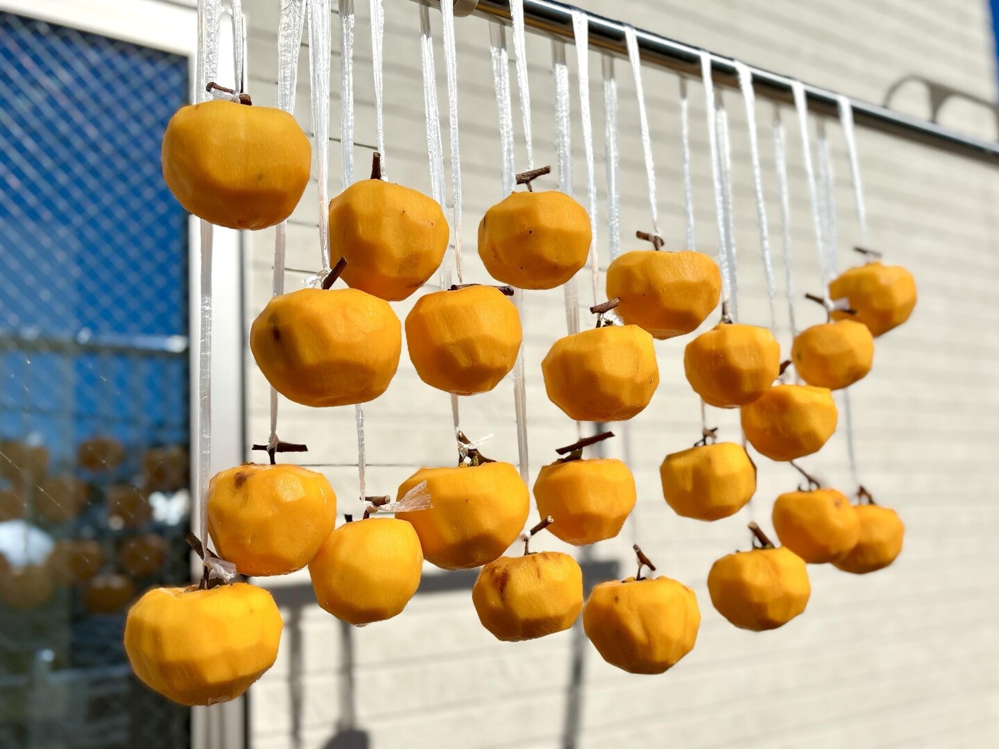 My first try making ... / _minmin_さんのモーメント | YAMAP / ヤマップ