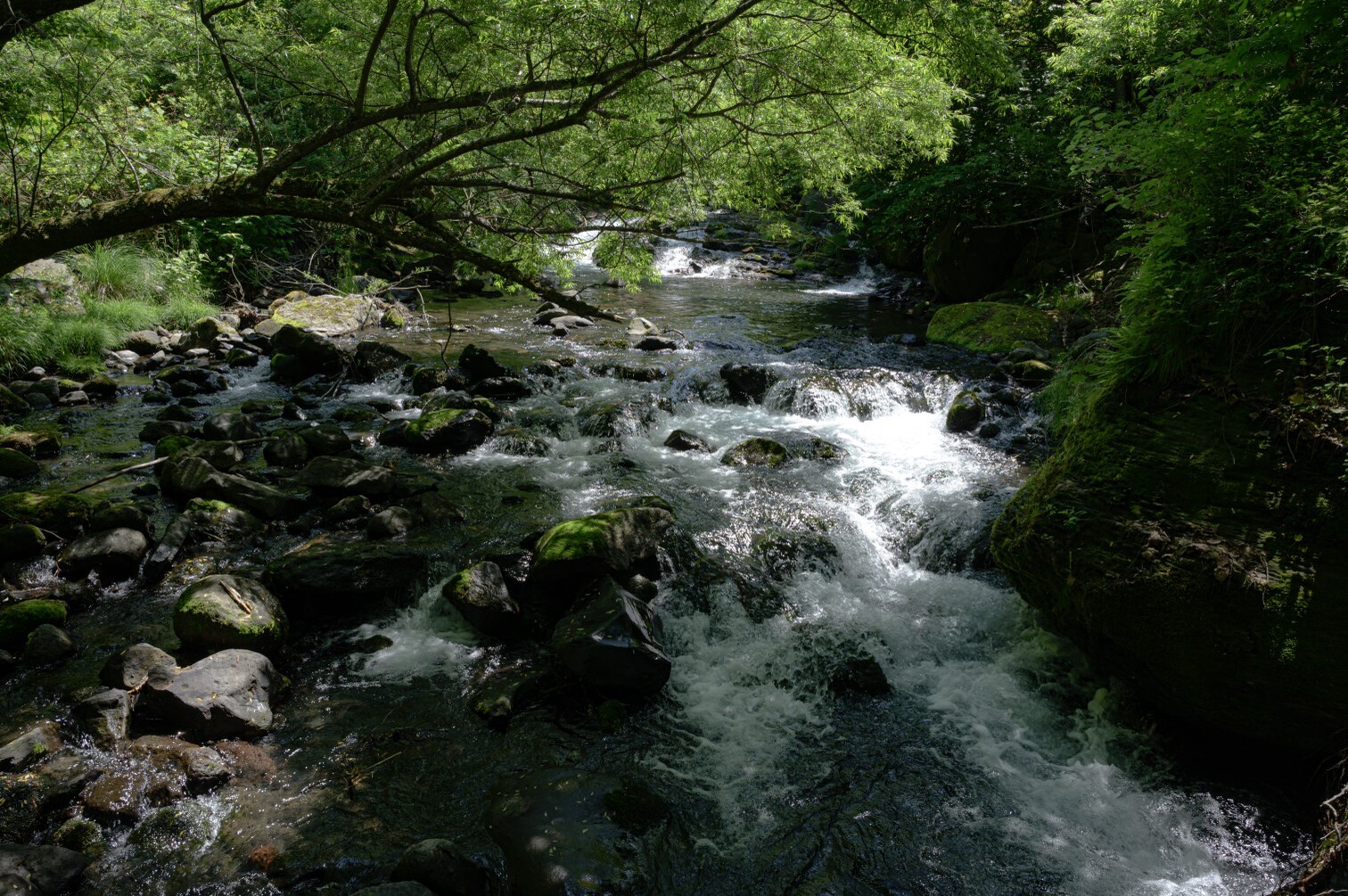 おはようございます 夏の水問題なのです... / vlog_tottiyさんのモーメント | YAMAP / ヤマップ