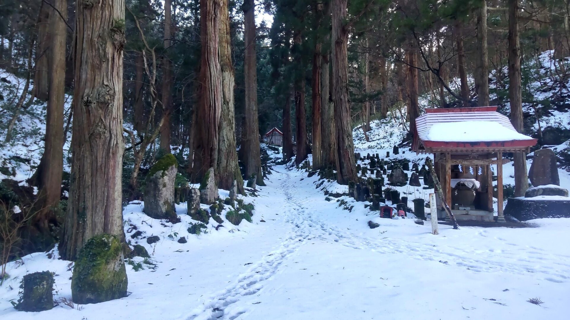 山百47座、金峯山 / zaomonsさんの金峯山・鎧ヶ峰・母狩山の活動データ | YAMAP / ヤマップ
