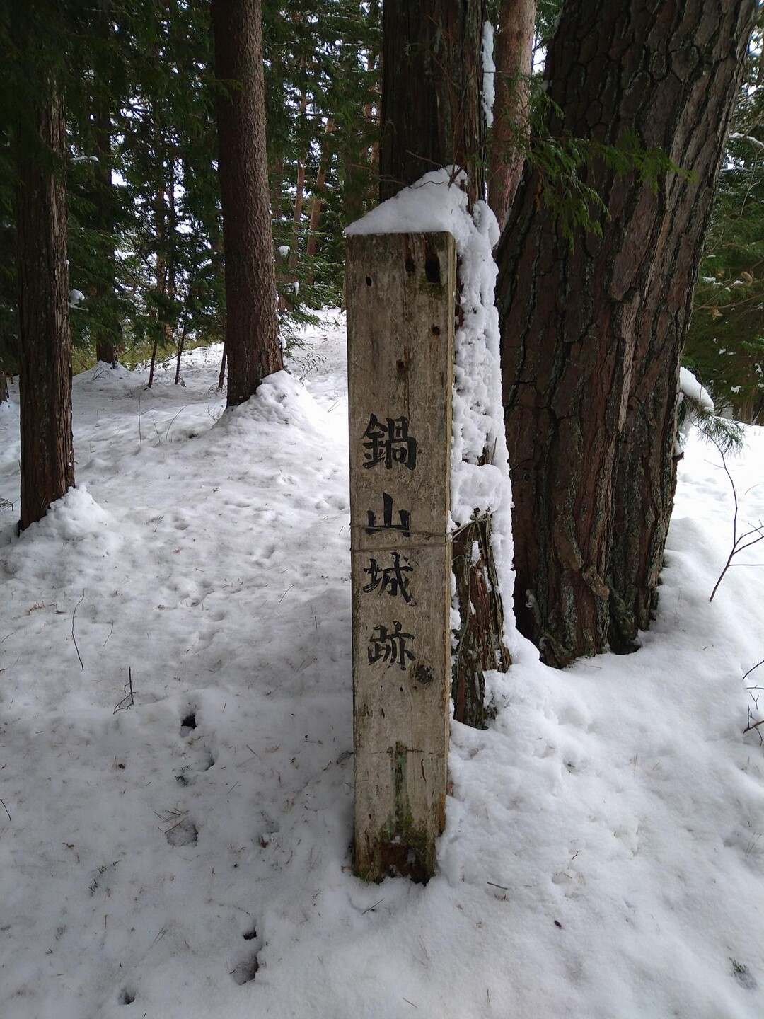 鍋山 / koniさんの松倉山の活動データ | YAMAP / ヤマップ