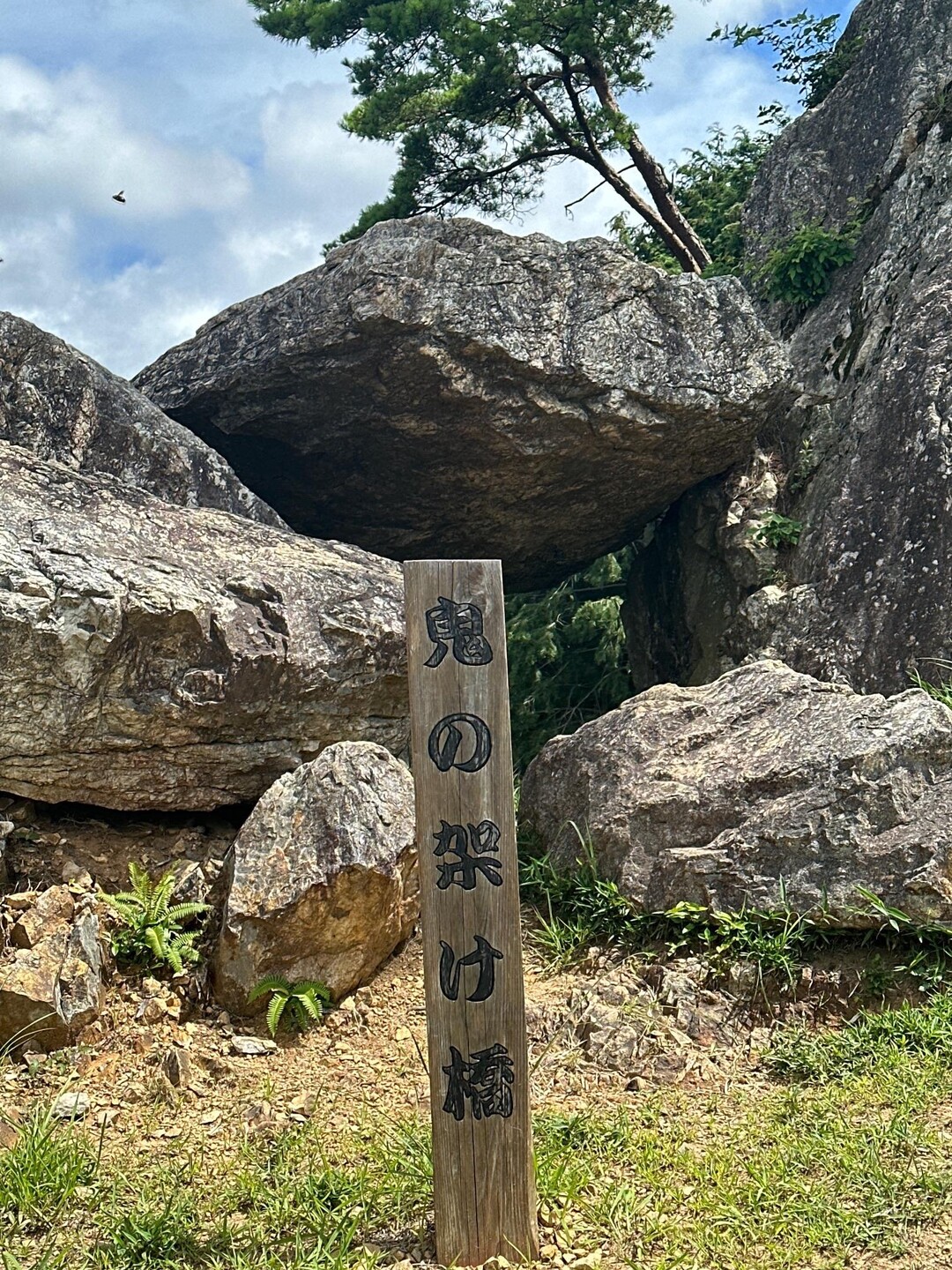 金山👹鬼の架け橋👹 / sumiko_okさんの金山の活動データ | YAMAP / ヤマップ