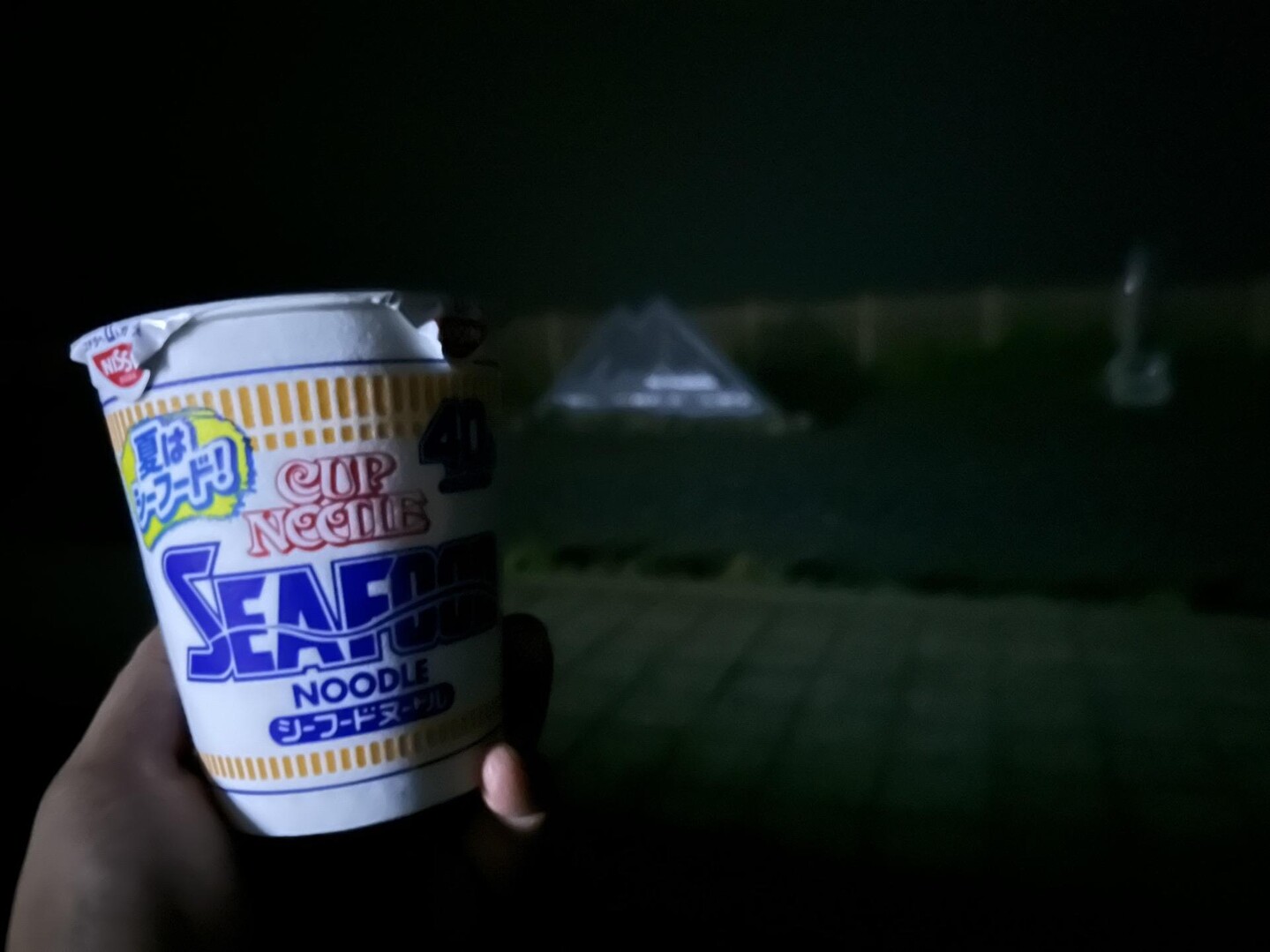 久しぶりの夜勤 筑波山（男体山）・筑波山（女体山） / syunziさんのヤマノススメ巡礼マップ（筑波山）の活動データ | YAMAP / ヤマップ