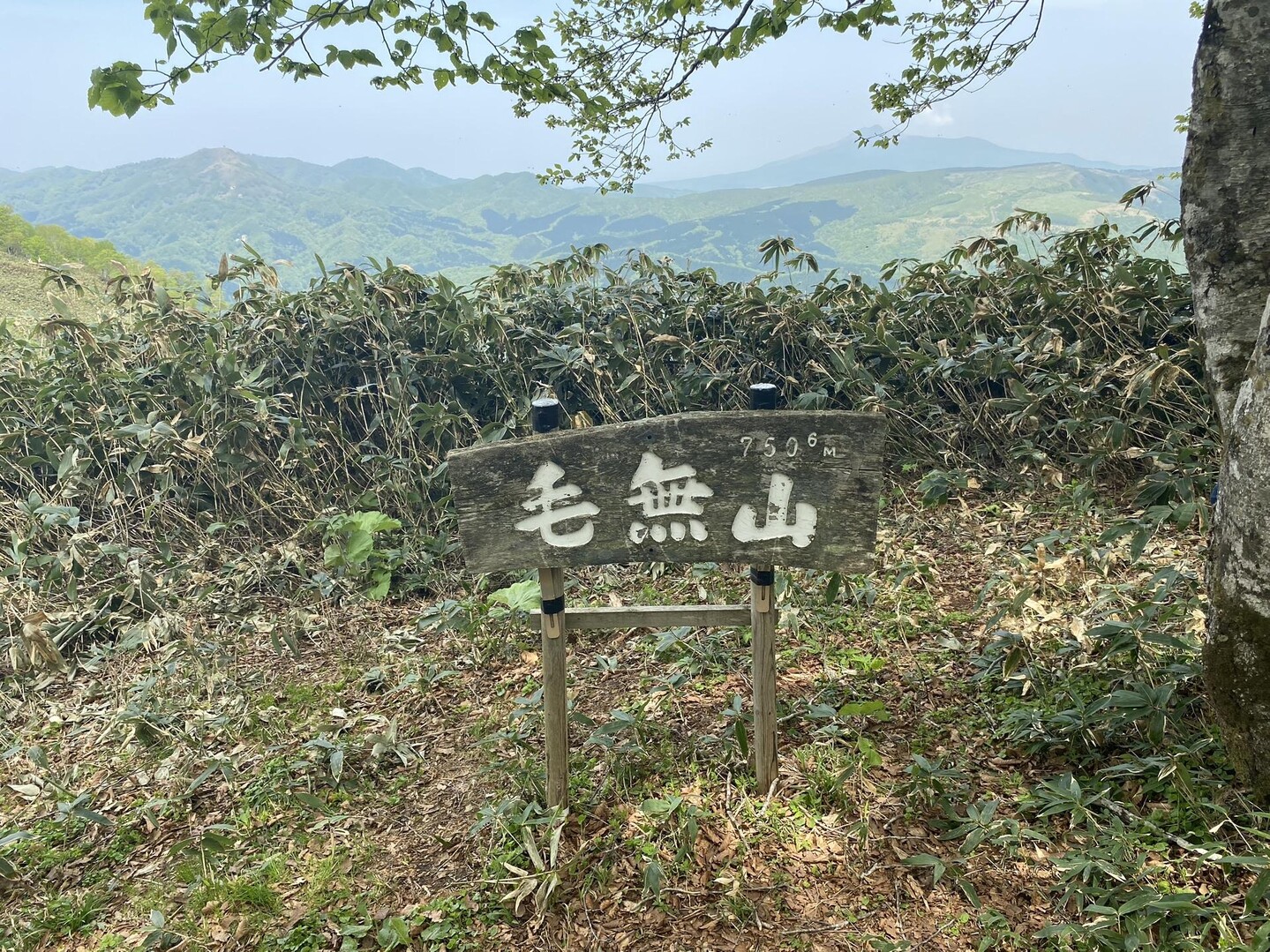 毛無山 / konikoniさんの毛無山の活動データ | YAMAP / ヤマップ