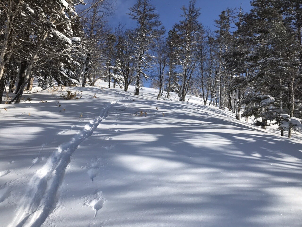 労山熊見山 / izumi.moさんの熊見山の活動データ | YAMAP / ヤマップ