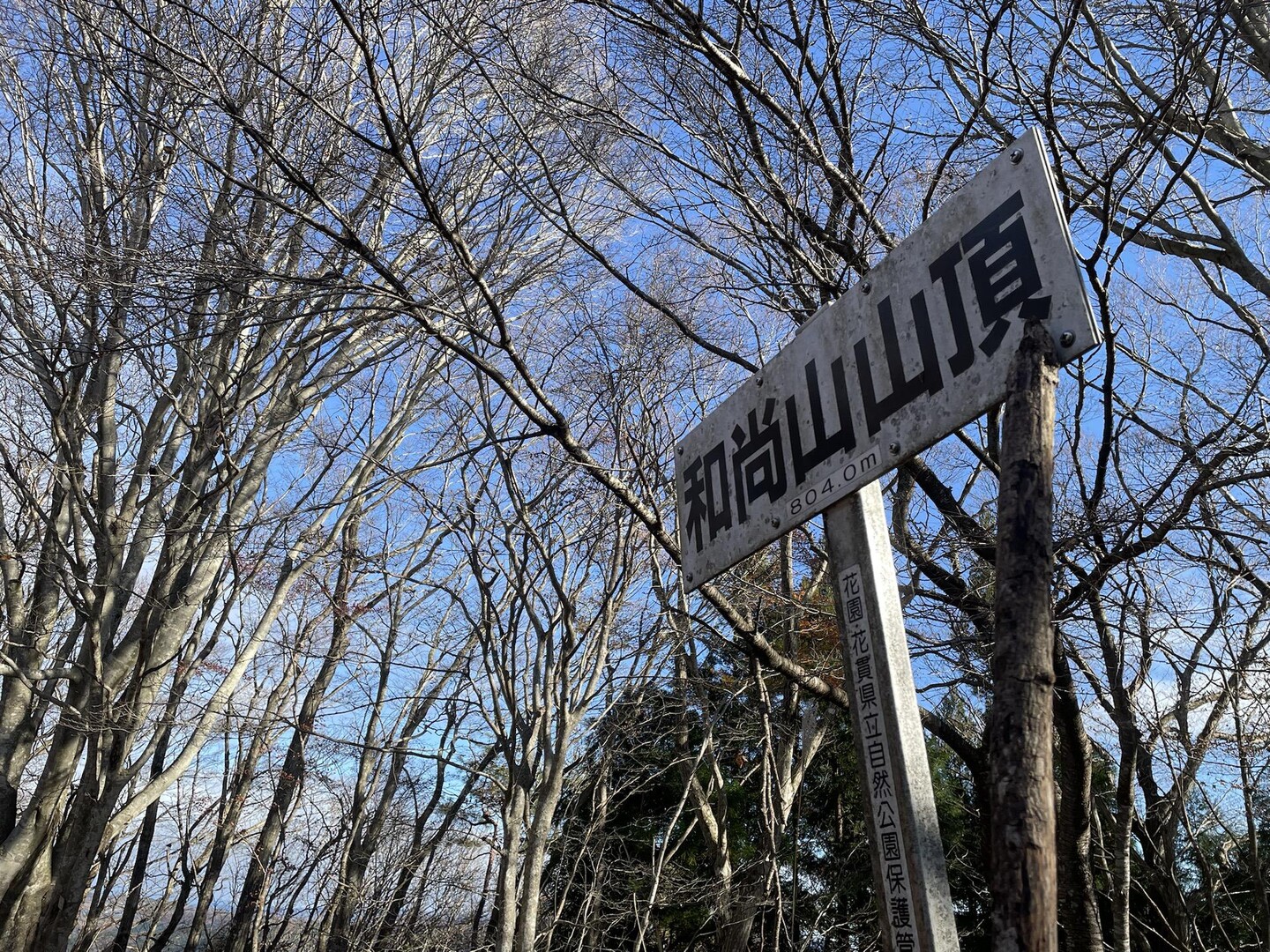 和尚山 / tana_shuさんの栄蔵室・花園山の活動データ | YAMAP / ヤマップ