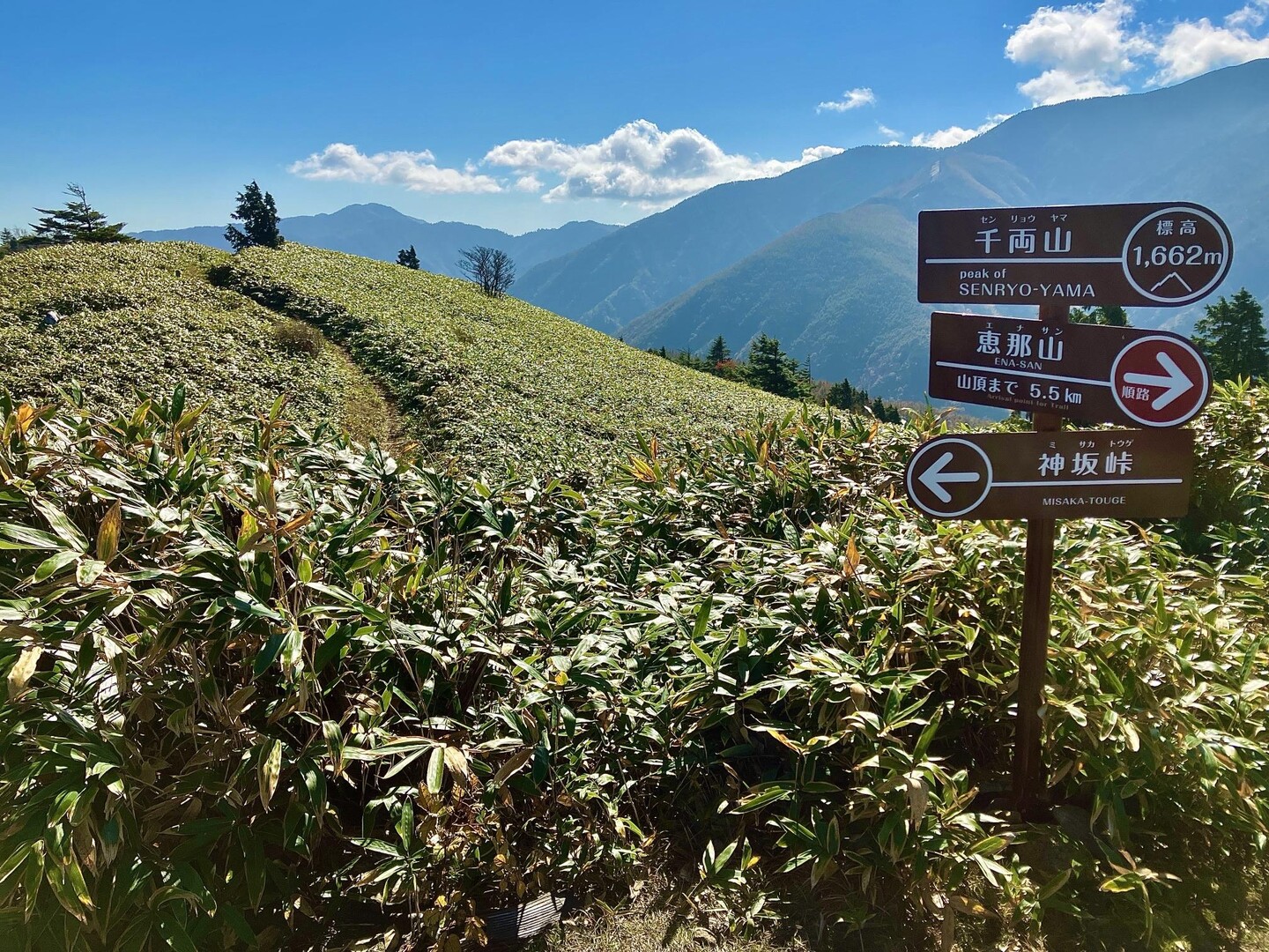8時27分のご褒美＂恵那山＂ / あきさんの恵那山・大判山・神坂山の活動データ | YAMAP / ヤマップ